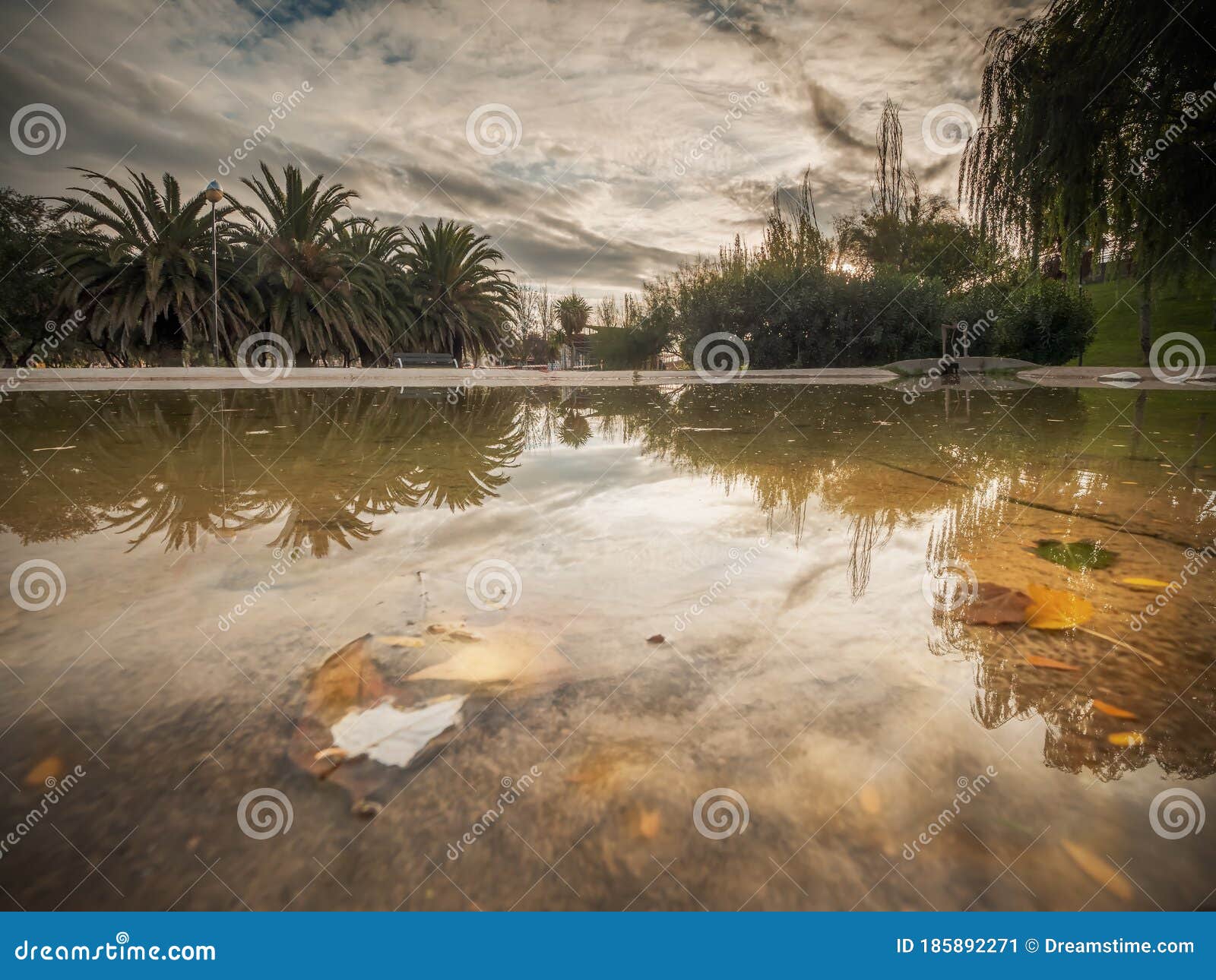 Reflection Sun Sunset Park Tree Reflection Sun Stock Image - Image of ...