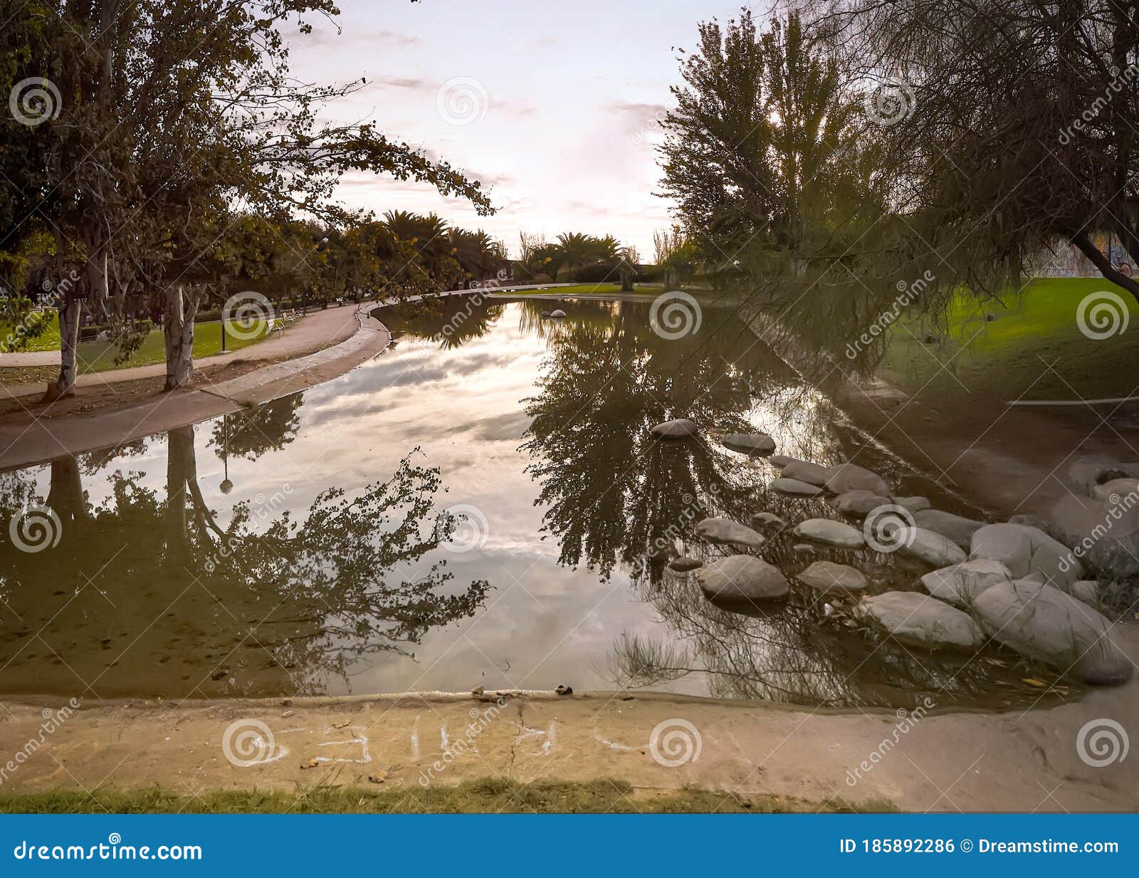 Reflection Sun Sunset Park Tree Reflection Sun Stock Photo - Image of ...