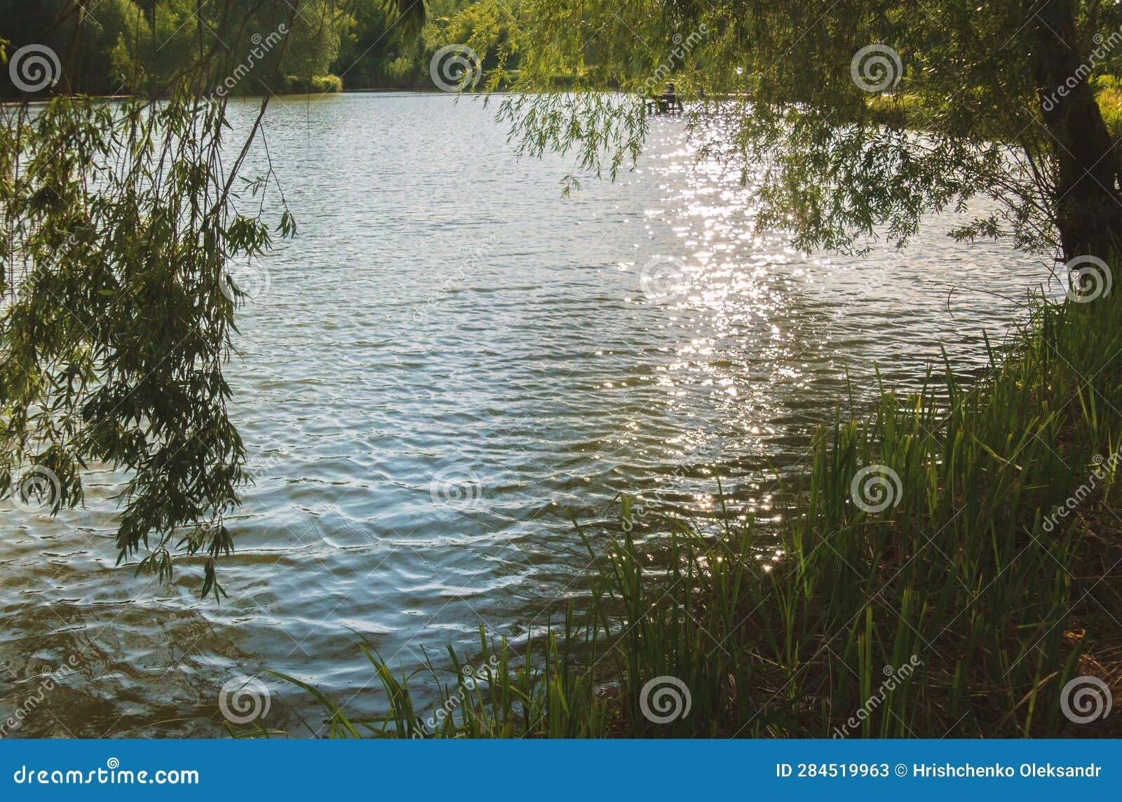 Reflection of the Sun on the Water Surface of a Summer Lake Stock Image ...