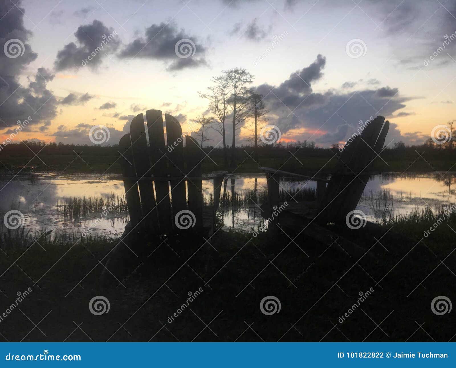 Reflection of Vibrant Sunset in a Swamp Stock Photo - Image of pink ...