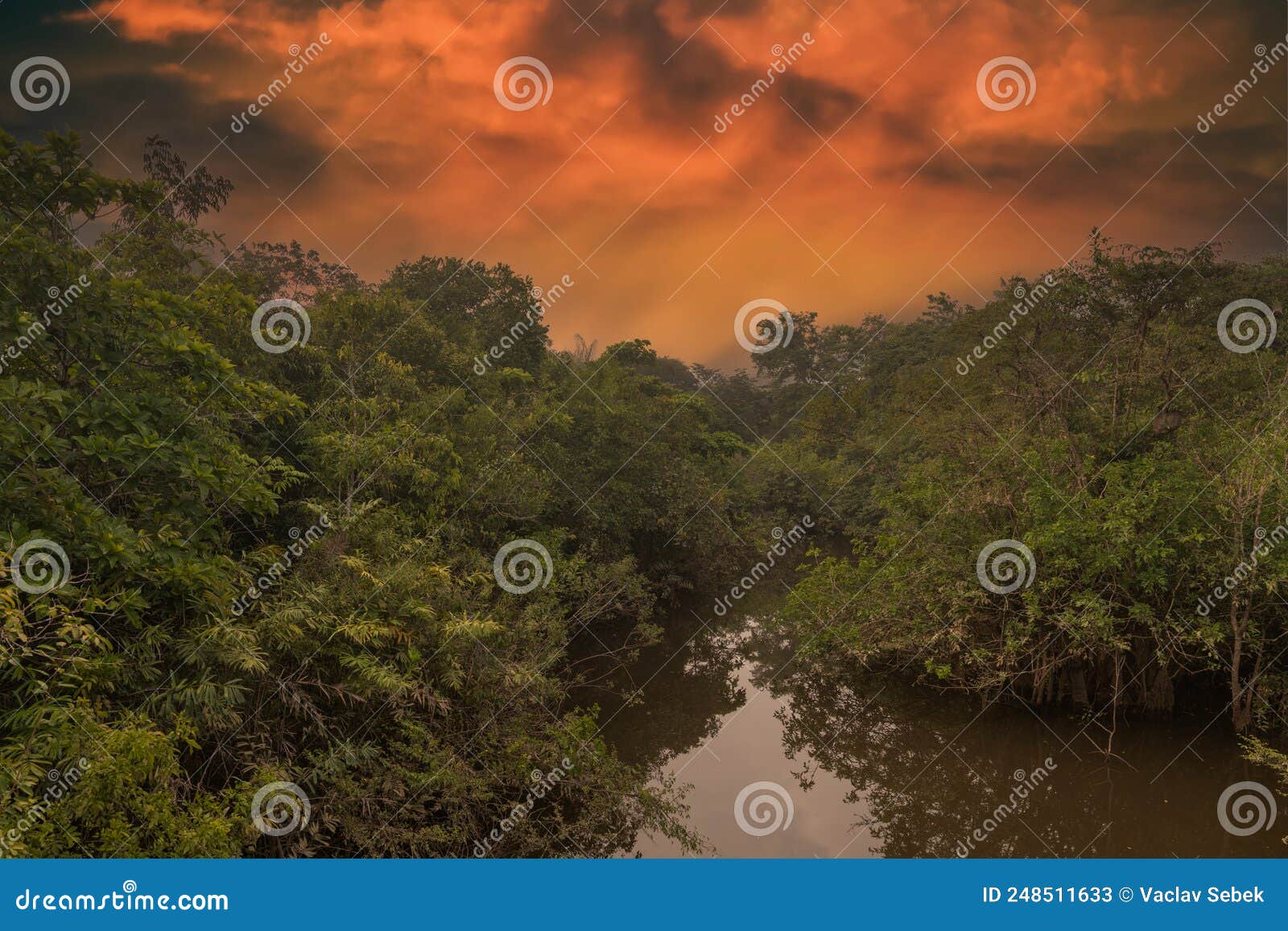 Reflection of a Sunset by a Lagoon Inside the Amazon Rainforest Basin ...