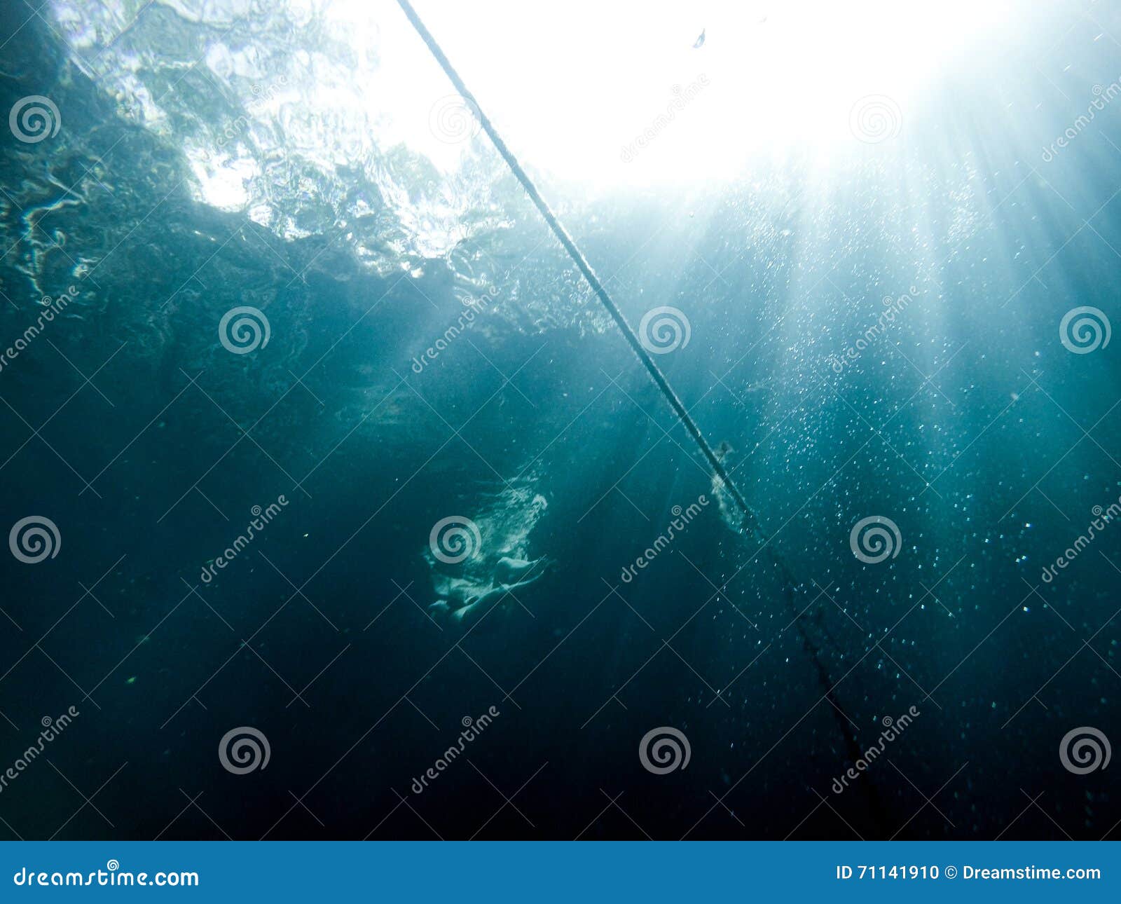 A Reflection of an Swimmer from Underwater Stock Photo - Image of ...