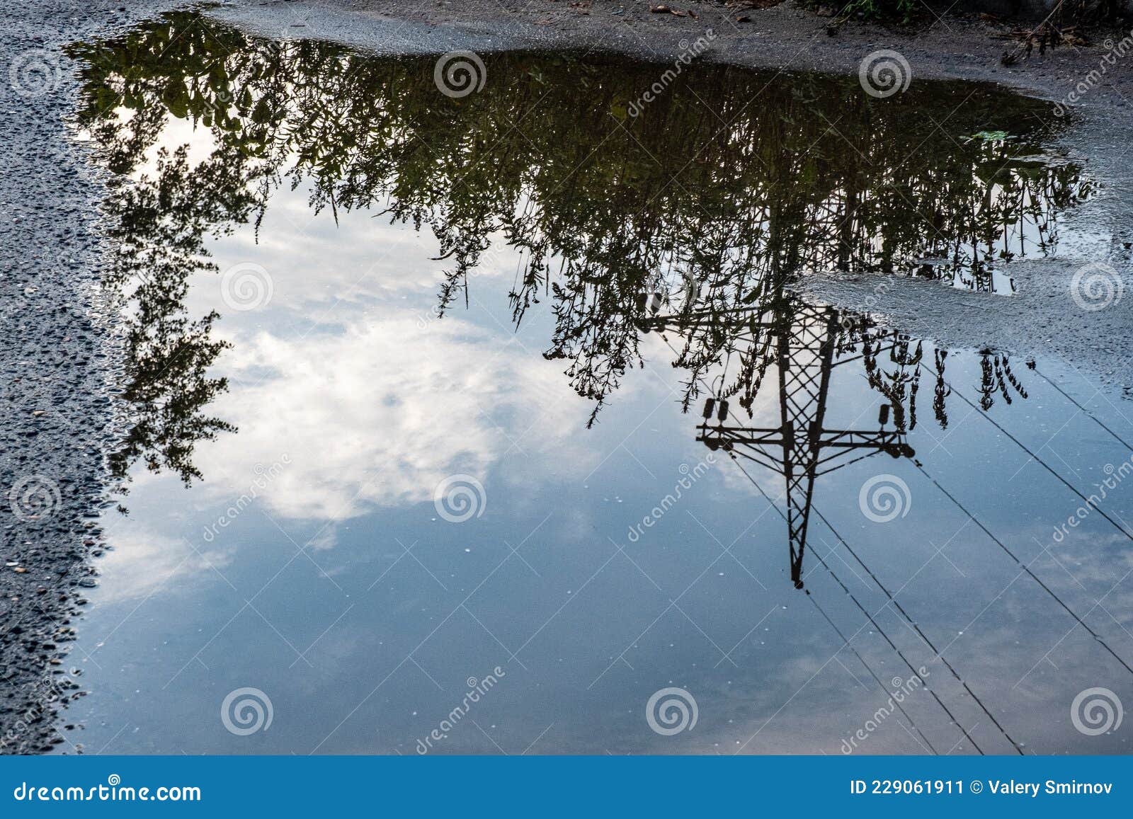 The Reflection of Tall Grass, Power Lines and the Sky with Clouds in a ...