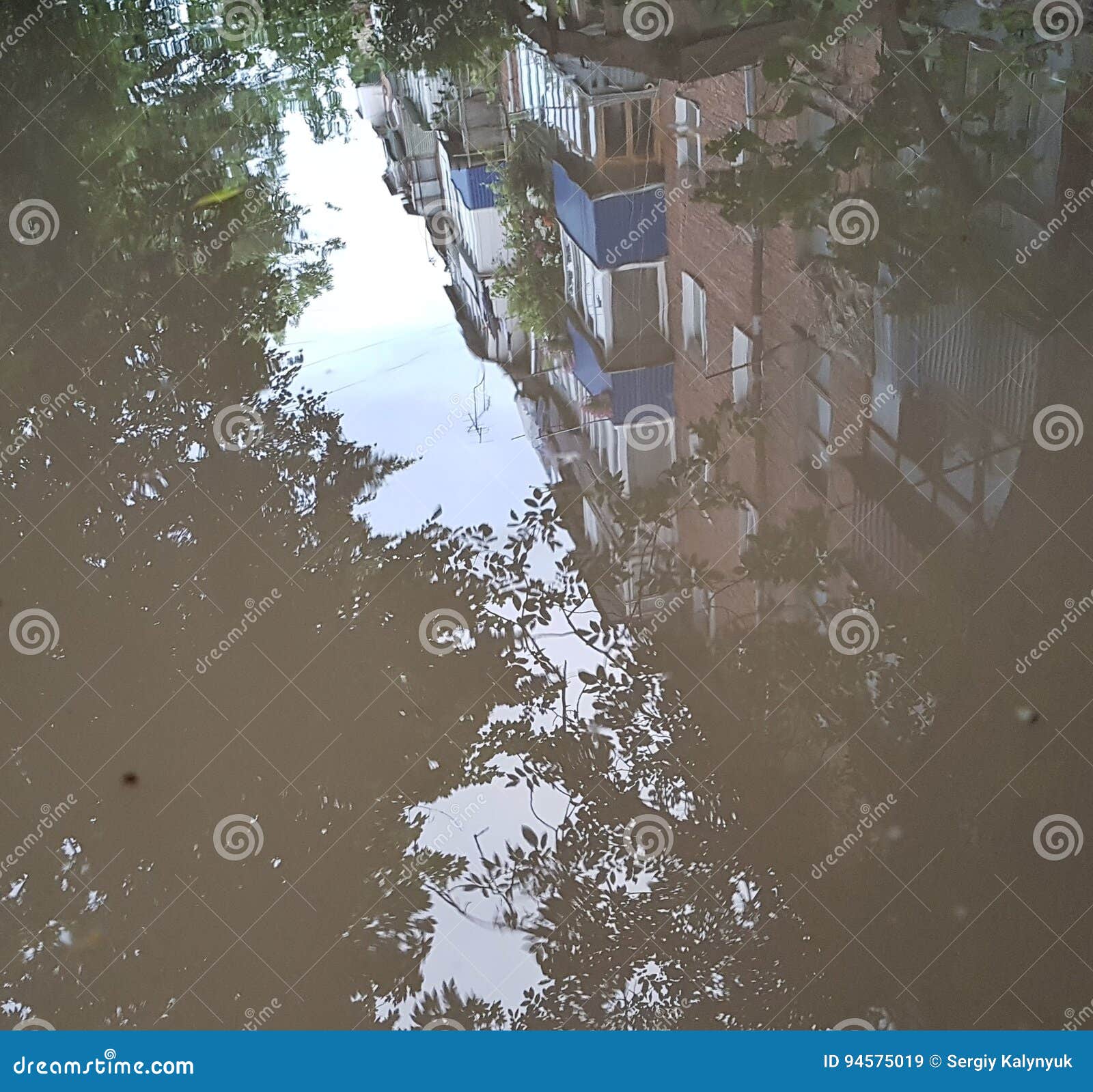 Reflection of time stock image. Image of leaves, trees - 94575019
