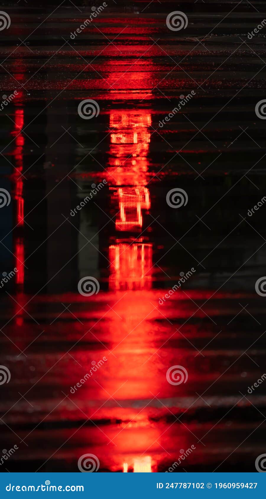 Reflection of Traffic Lights Stock Photo - Image of road, stage: 247787102