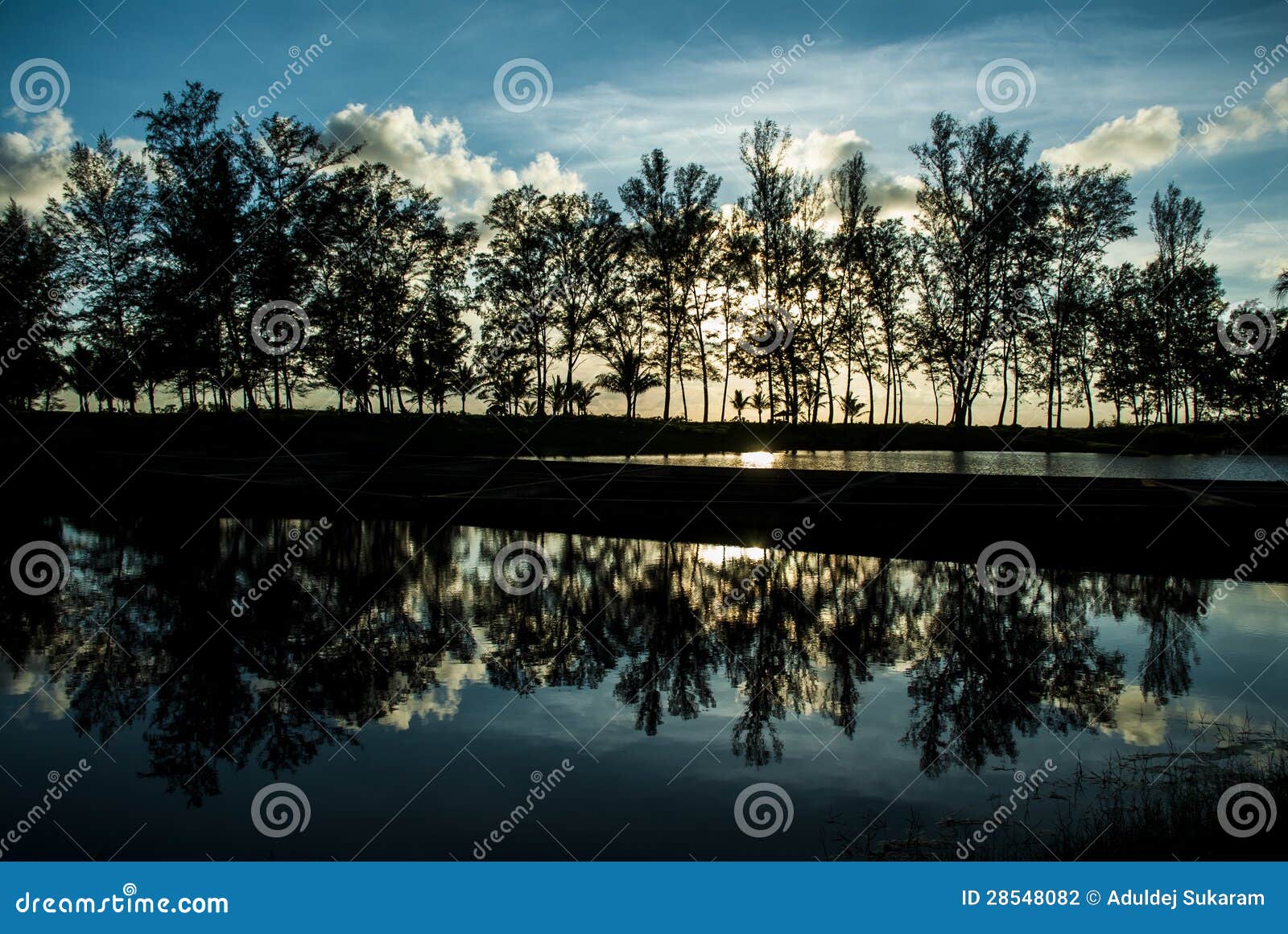 Reflection of the Tree in Lake Stock Photo - Image of beauty, cloud ...