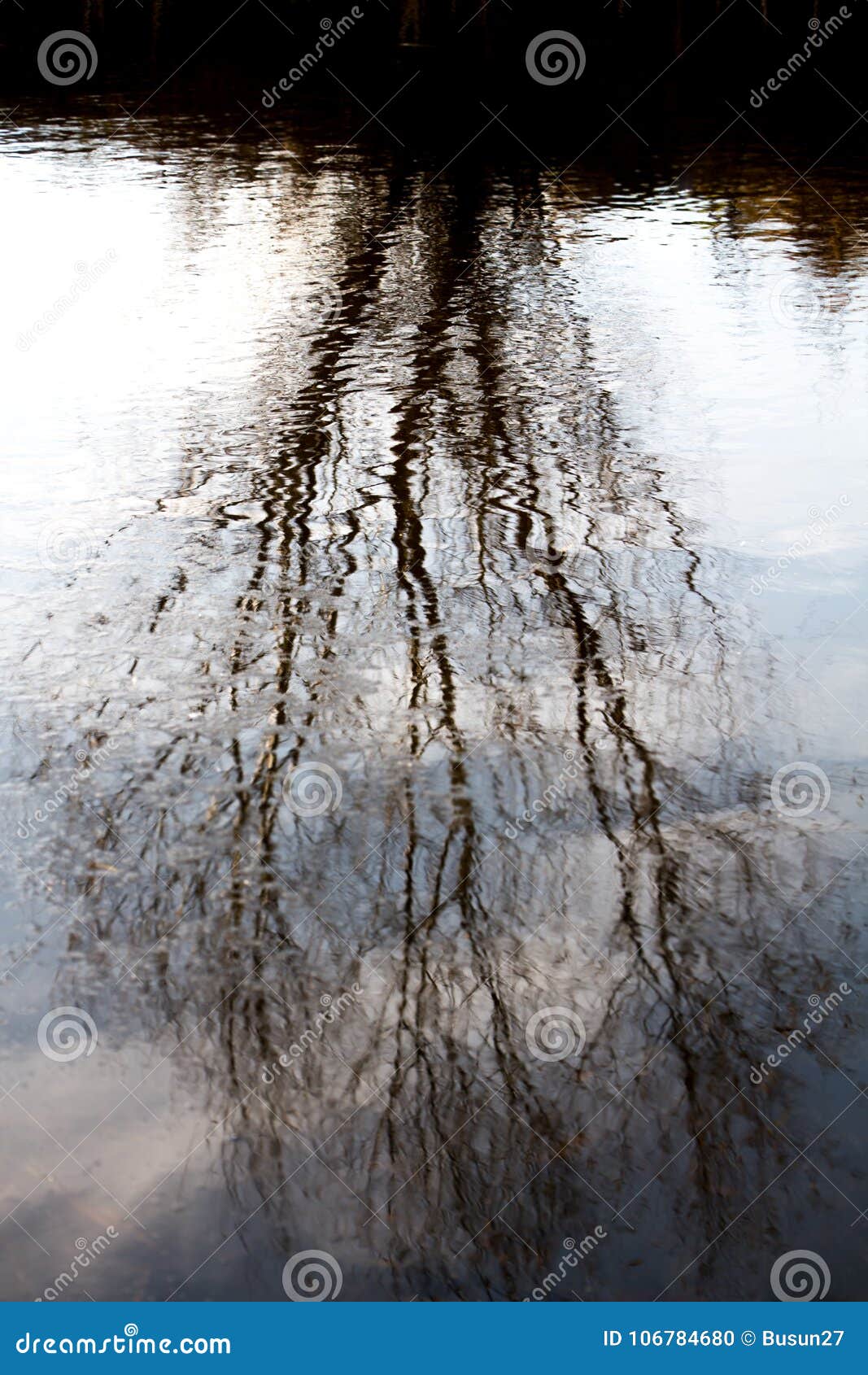The Reflection of the Tree from the River Stock Photo - Image of season ...