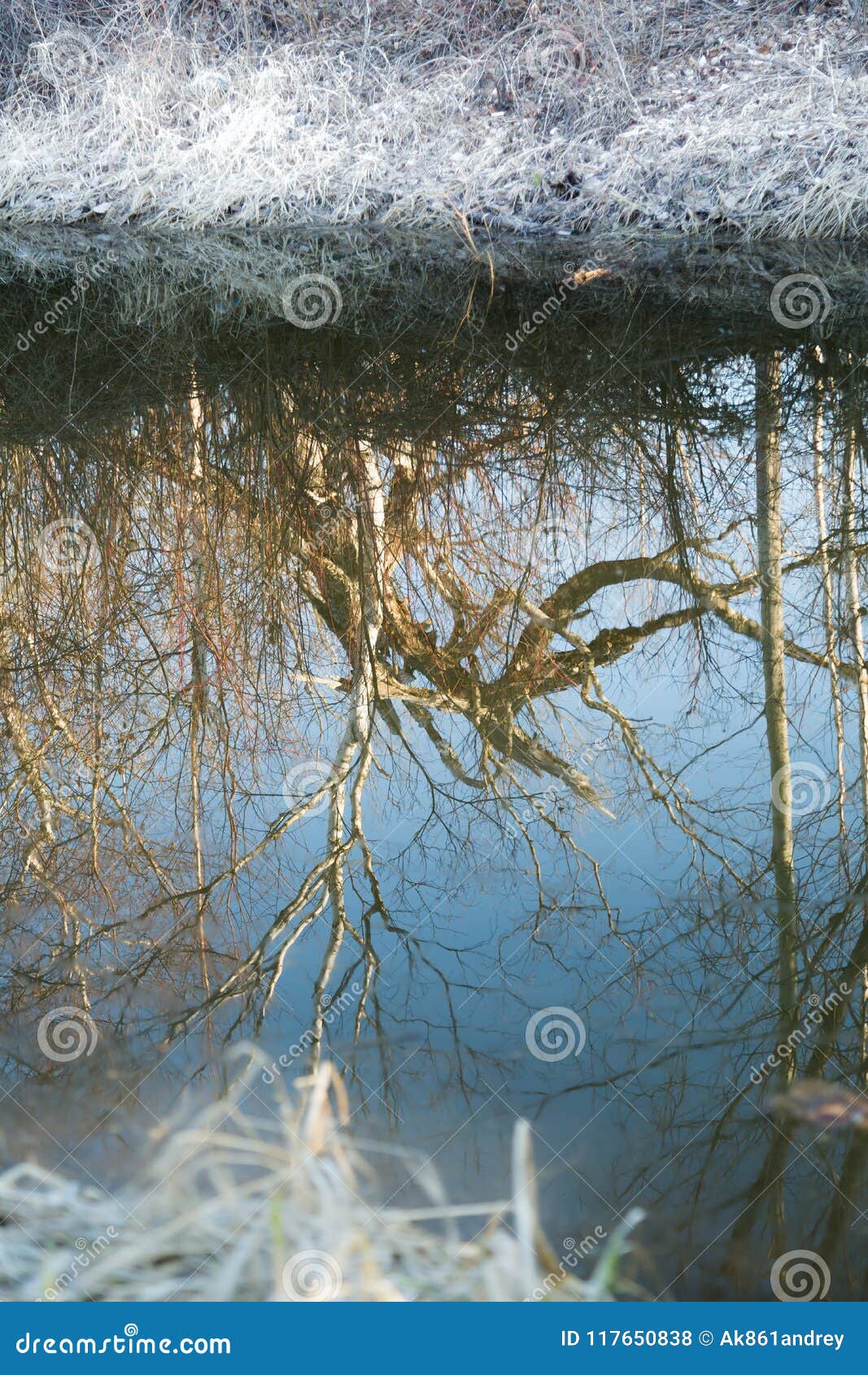 Reflection in the river stock photo. Image of frost - 117650838