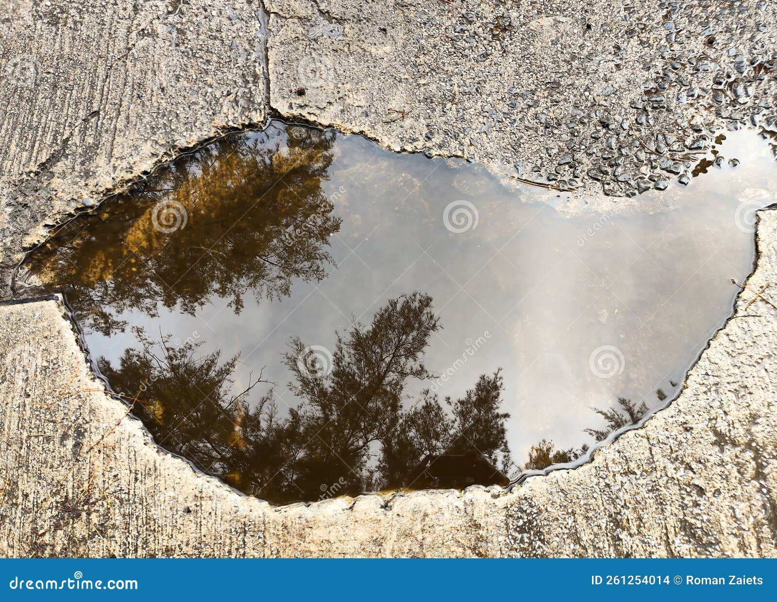 Reflection of a Tree and Sky in a Deep Autumn Puddle Stock Photo ...