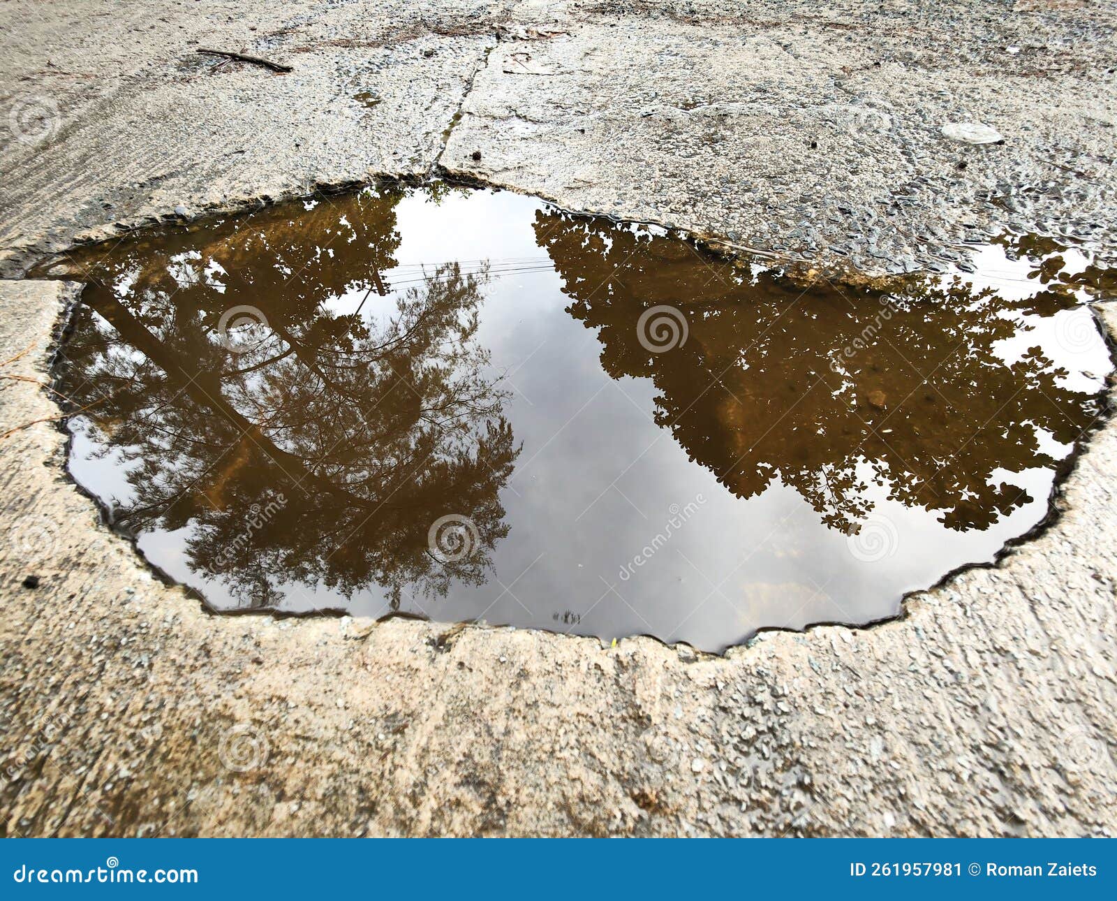 Reflection of a Tree and Sky in a Deep Autumn Puddle Stock Image ...