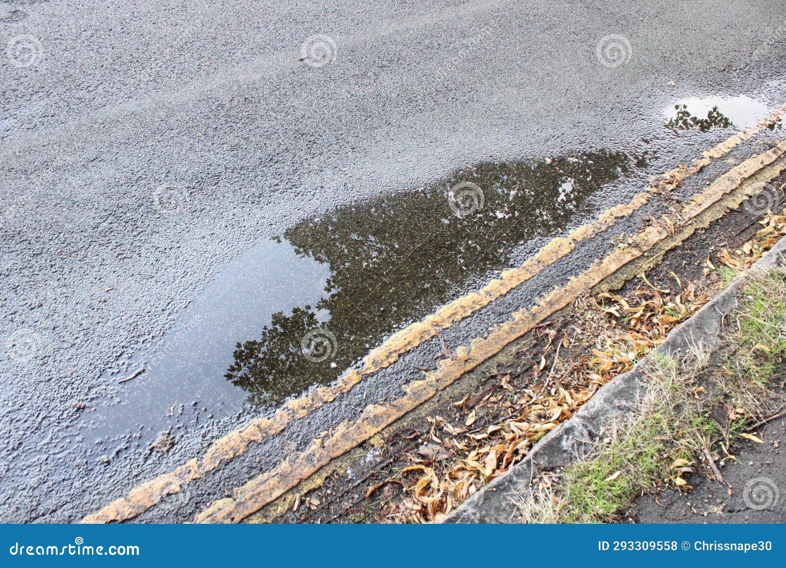 Reflection of Tree and Sky on a Puddle of Water in Road Stock Photo ...