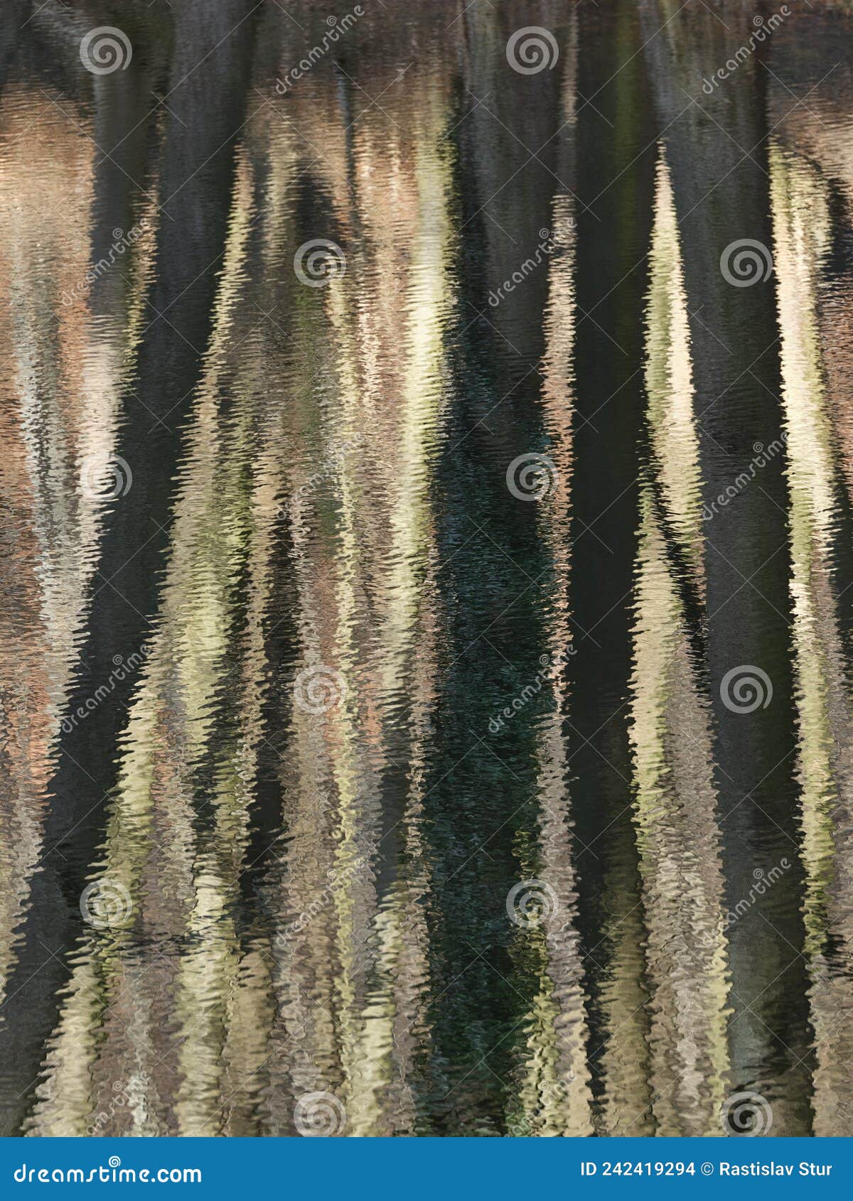 Reflection of Tree Trunks in a Lake As an Impressionist Painting Stock ...