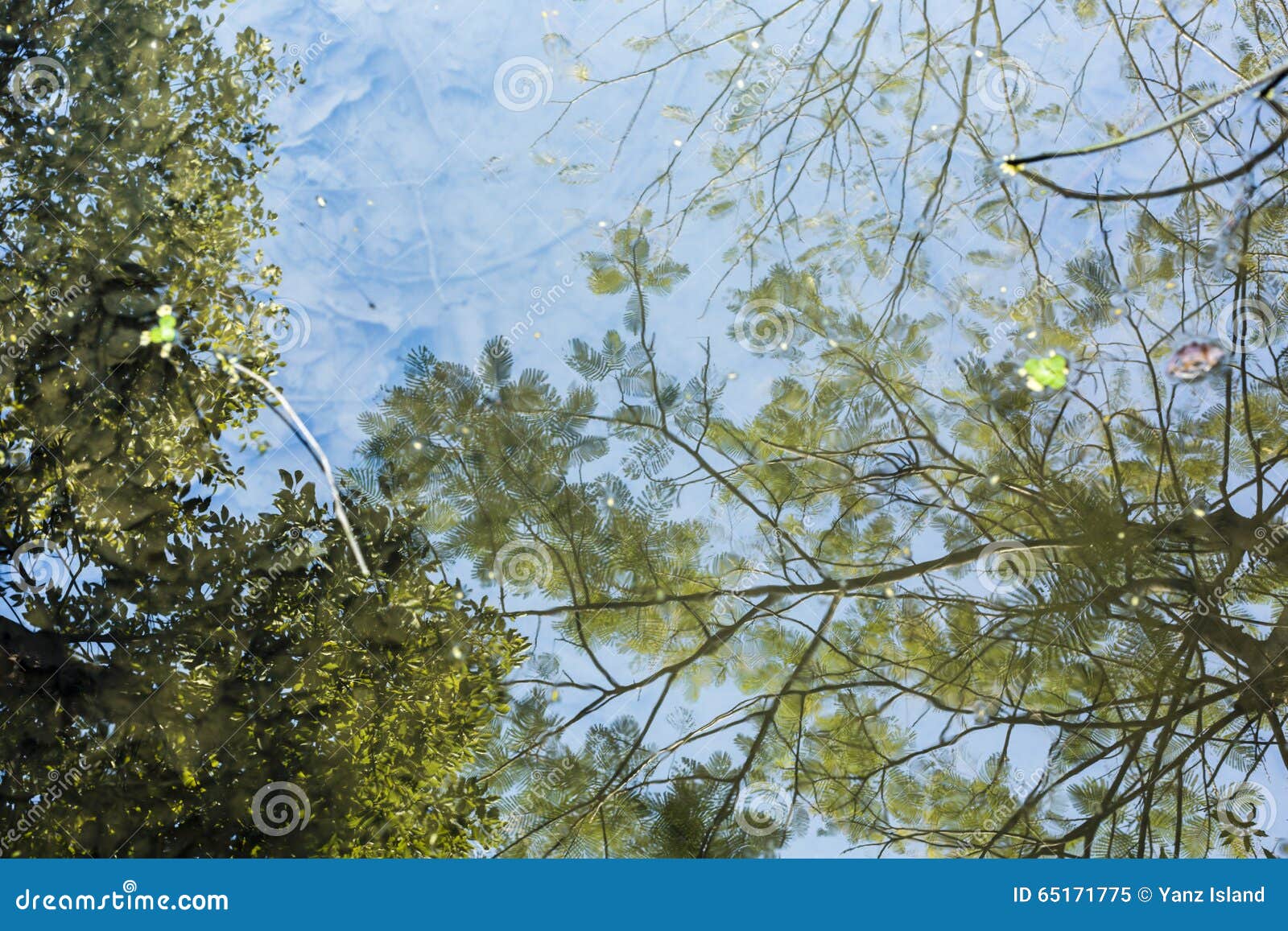 Tone Edation Stock Photos - Free & Royalty-Free Stock Photos from ...