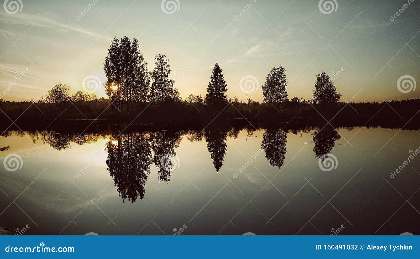 Reflection of a Tree in the Water Stock Photo - Image of sunlight ...
