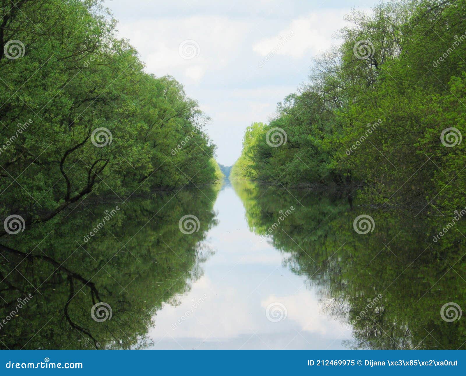 A Reflection of the Trees Along the River Stock Image - Image of polje ...