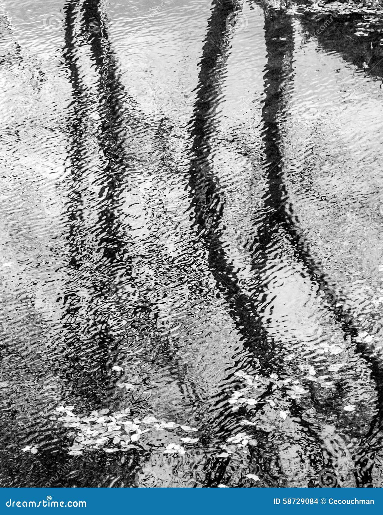 Reflection of Trees in Rippled Water - Vertical, B/W Stock Photo ...