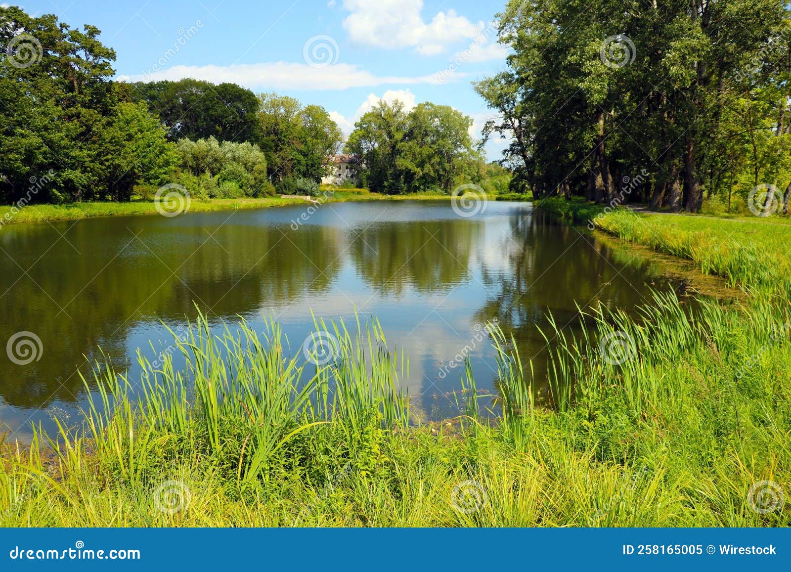 Reflection of Trees and Clouds in a Lake or River on a Sunny Day Stock ...