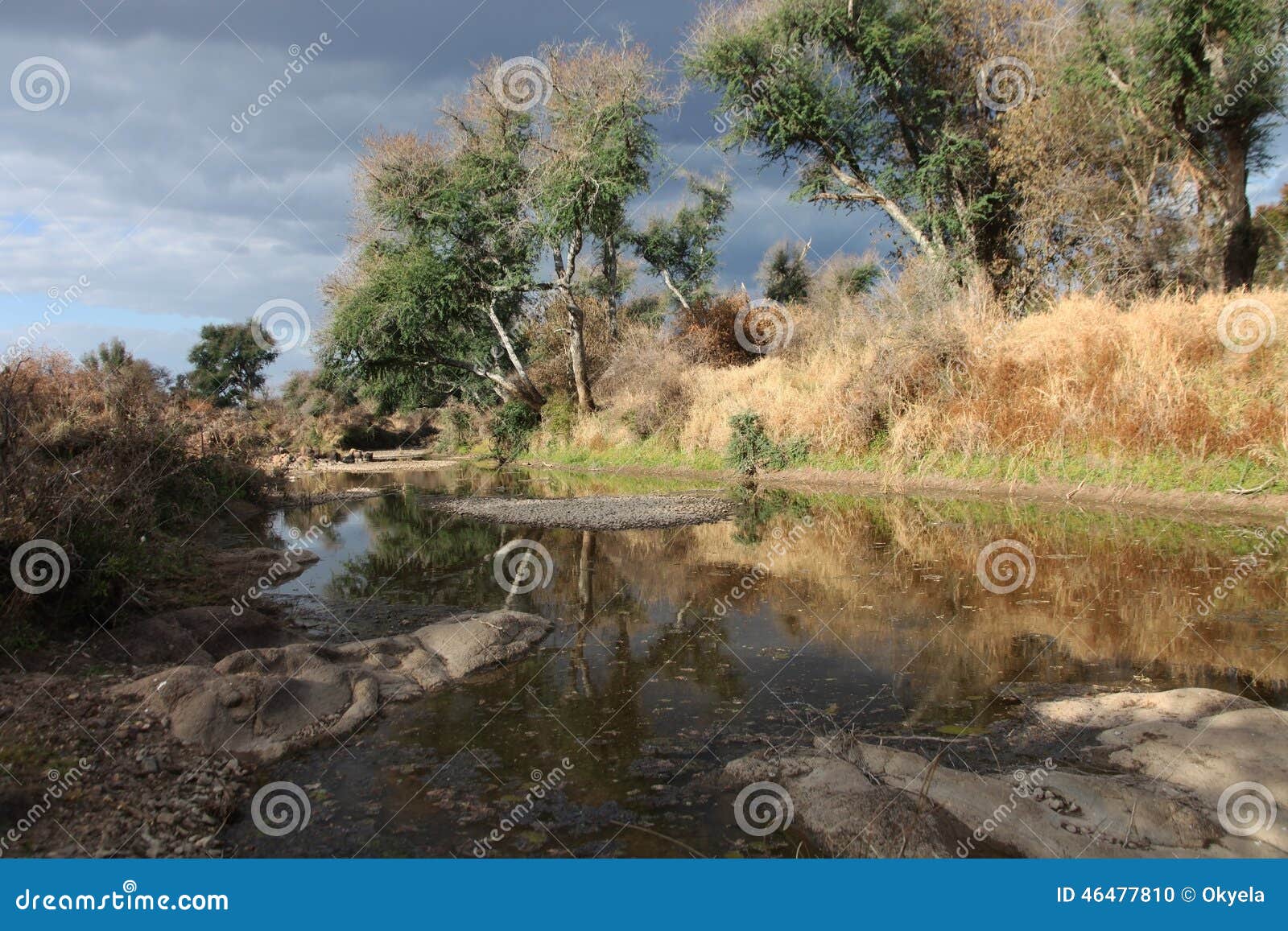 Floodplain River Meanders Delta Dron Aerial Video Shot Inland Sandy ...