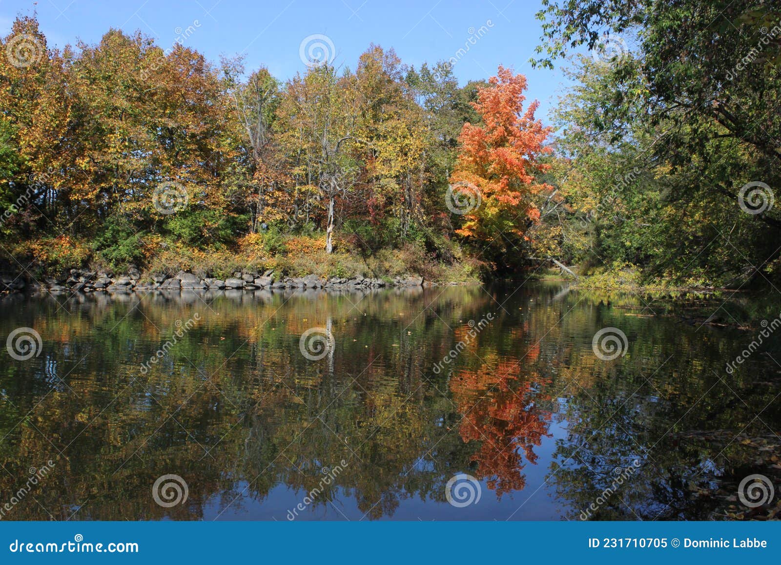 Reflection of Trees on River in Fall Stock Image - Image of tree ...