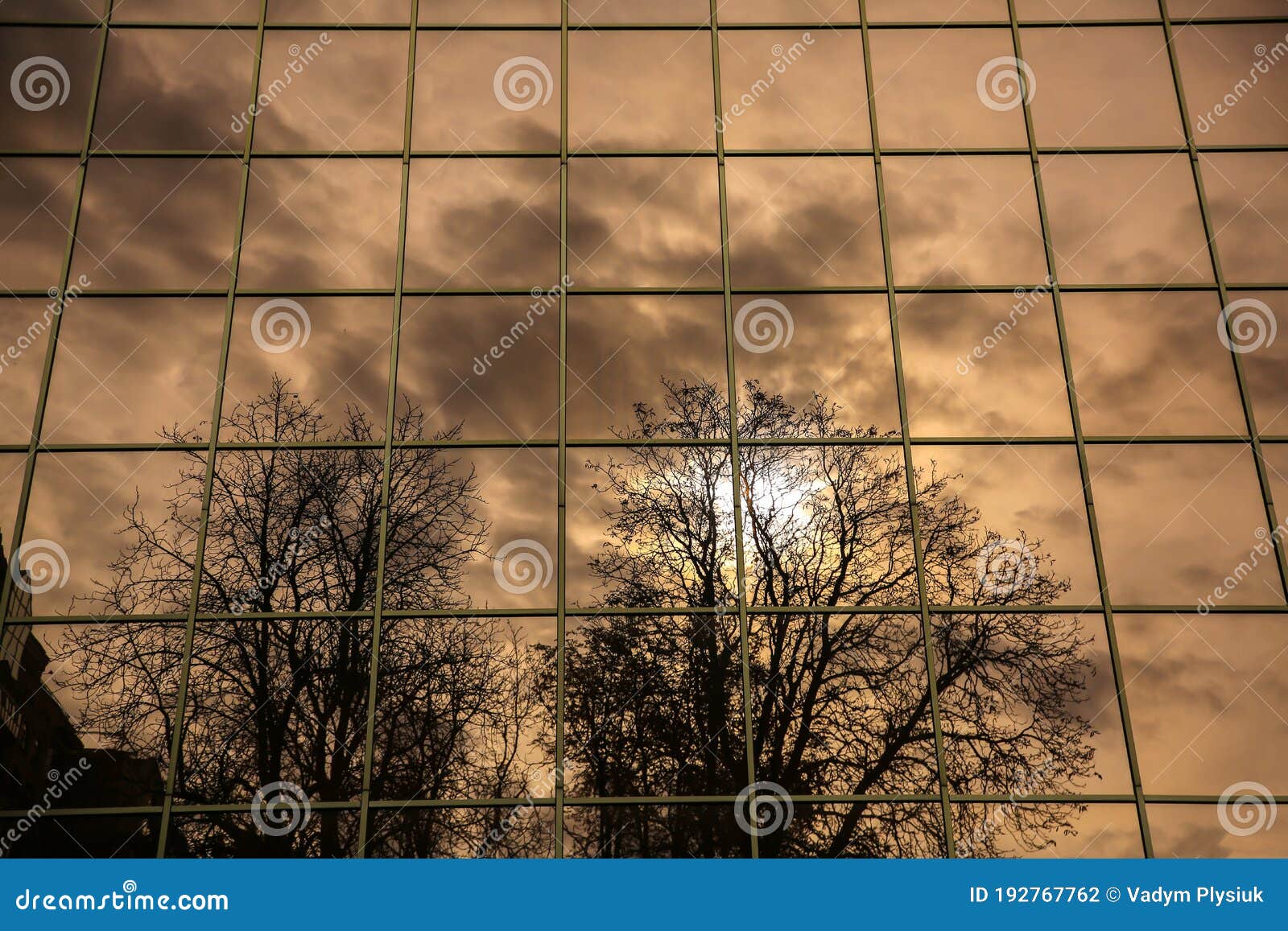 Reflection of Trees in the Glass Window. Modern View Stock Photo ...