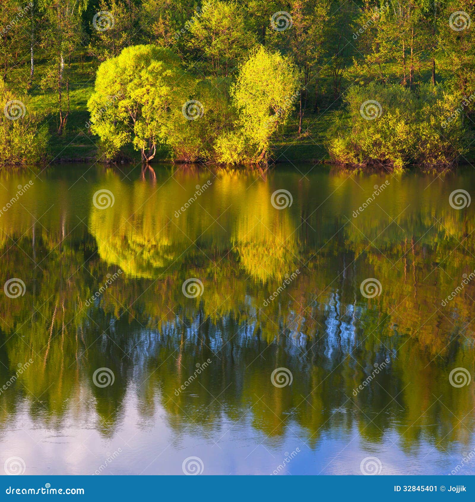 Reflection of Trees in Lake Stock Image - Image of forest, reflection ...