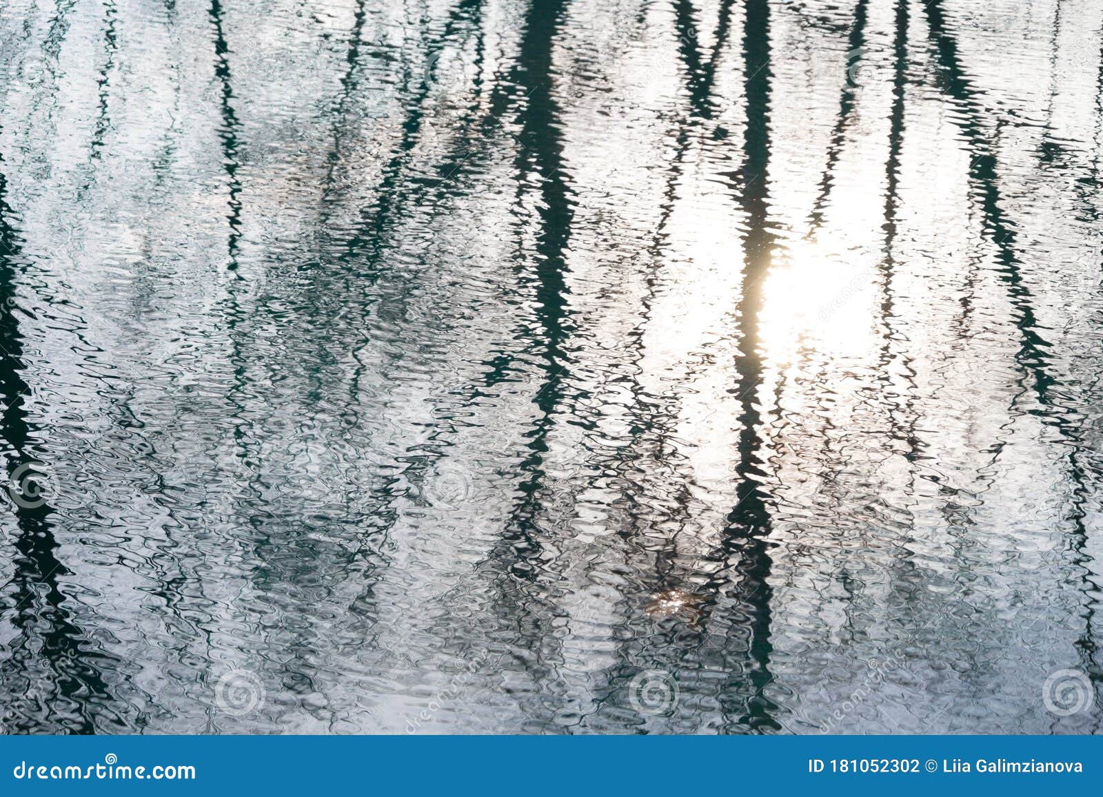 Reflection of trees stock photo. Image of reflection - 181052302