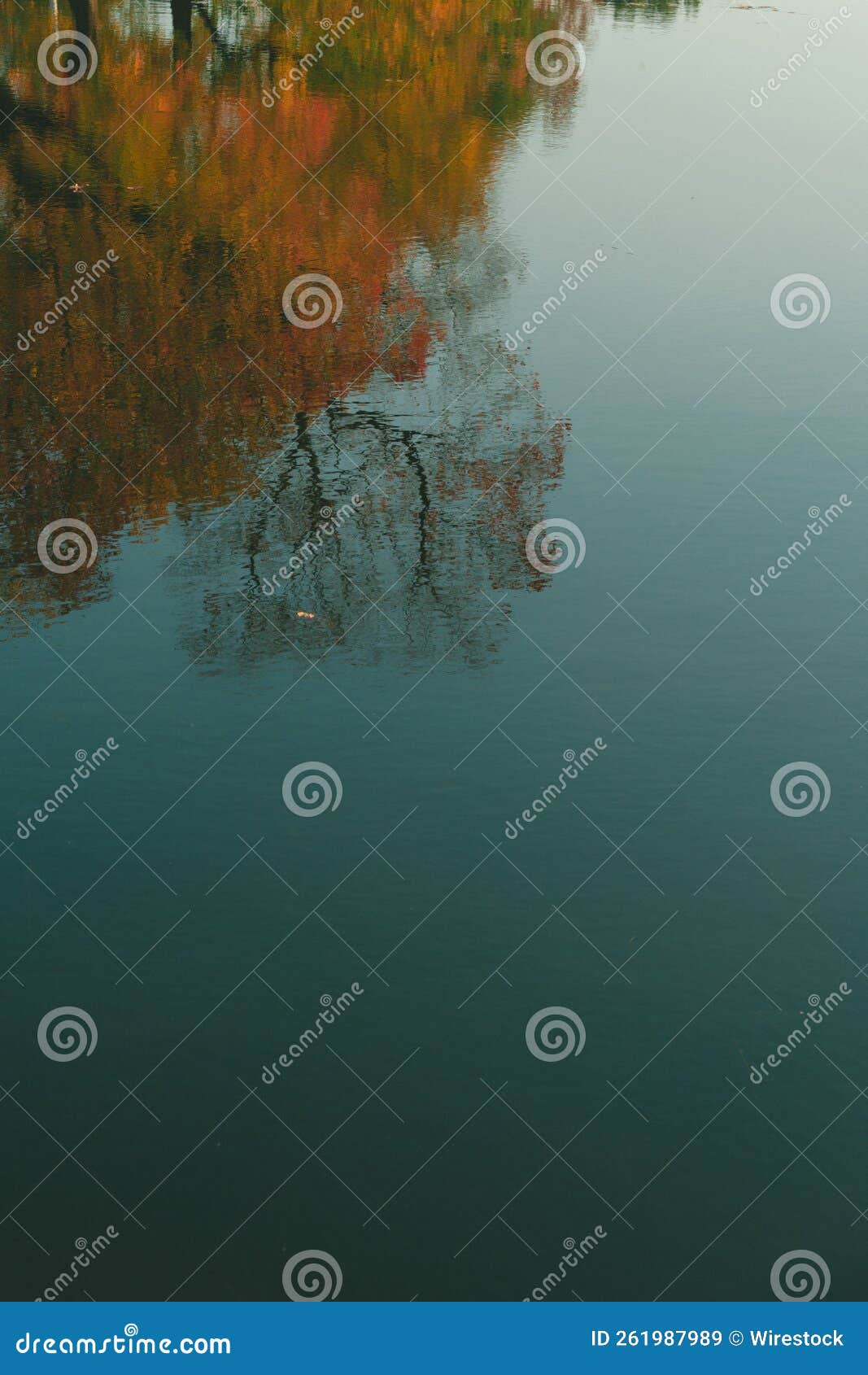 Reflection of Trees in the Lake - Vertical Autumn Background Stock ...