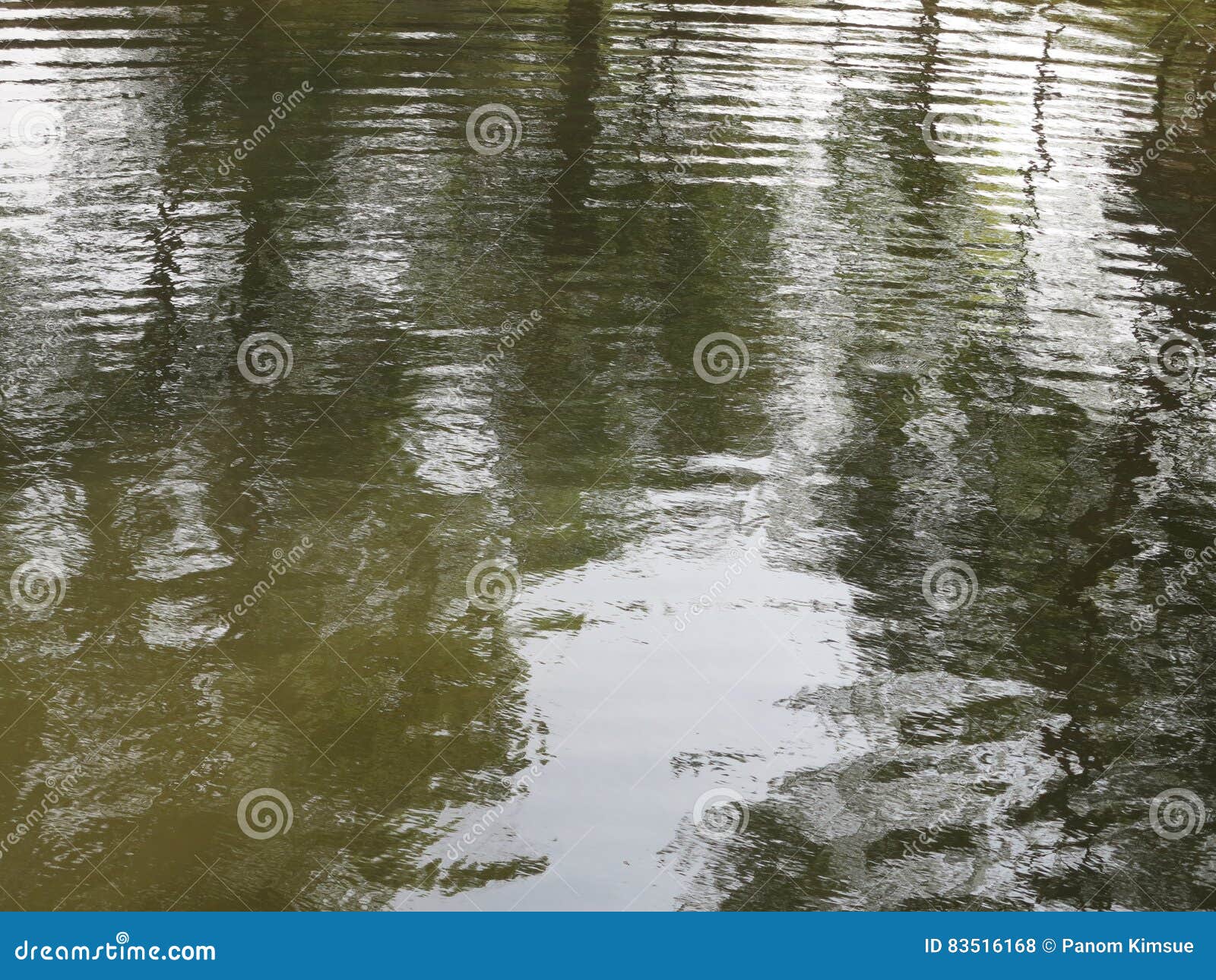 Reflection of of Trees Mirrored on Rippled Water Surface Background ...