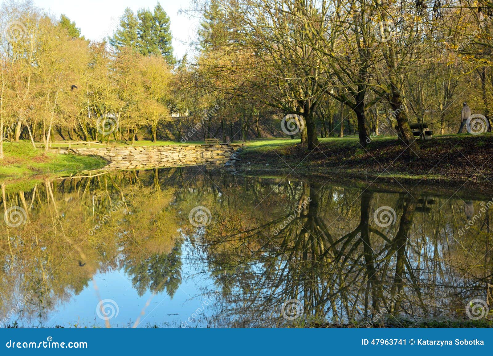 Reflection of Trees in a Pond Stock Image - Image of park, outlines ...