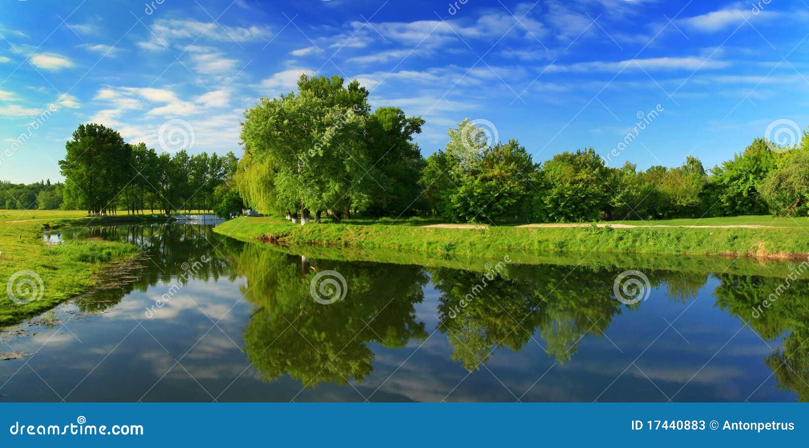 Reflection of Trees in the River Stock Image - Image of beautiful ...