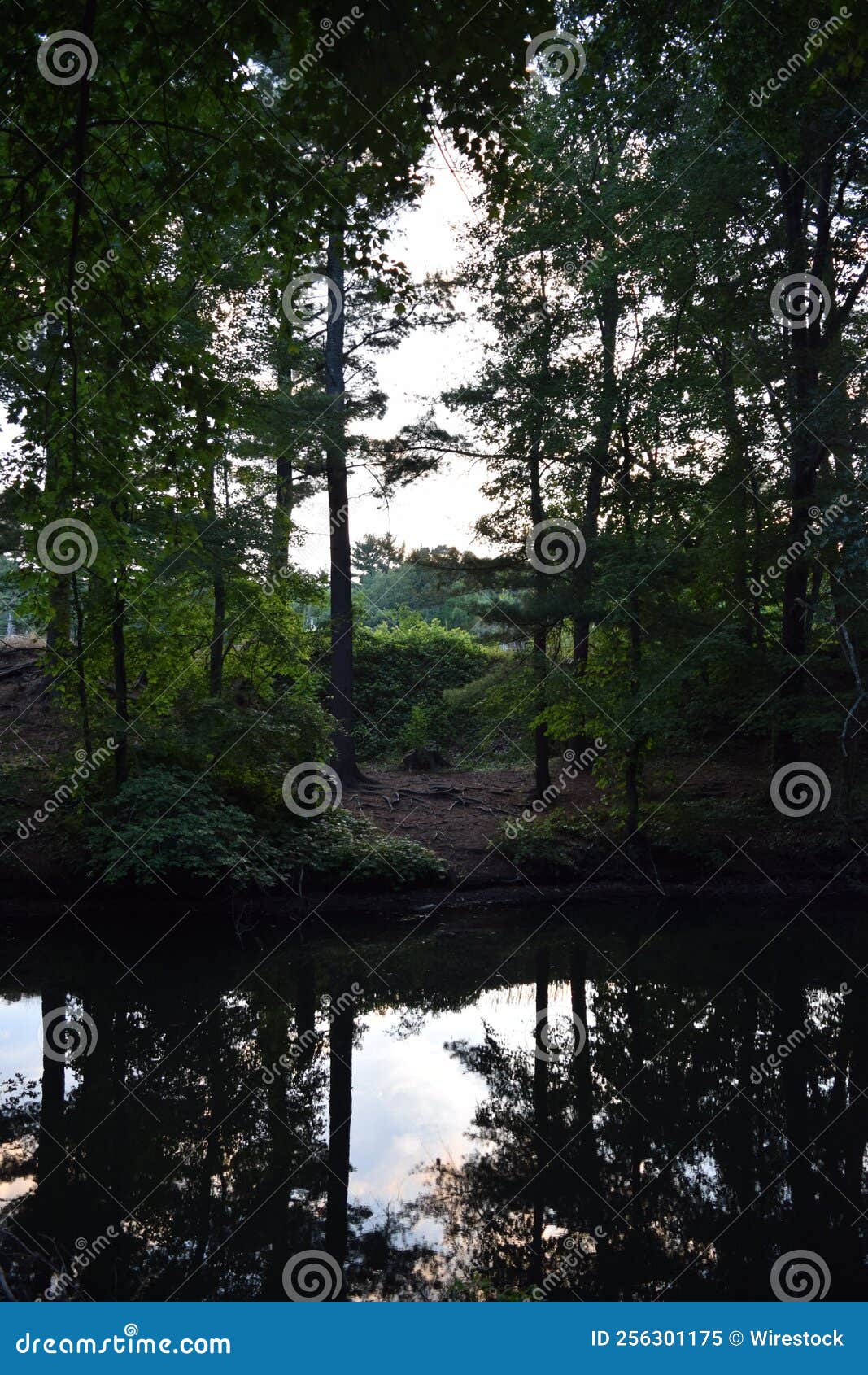Reflection a the Trees on the River during Dark Cloudy Day Stock Image ...