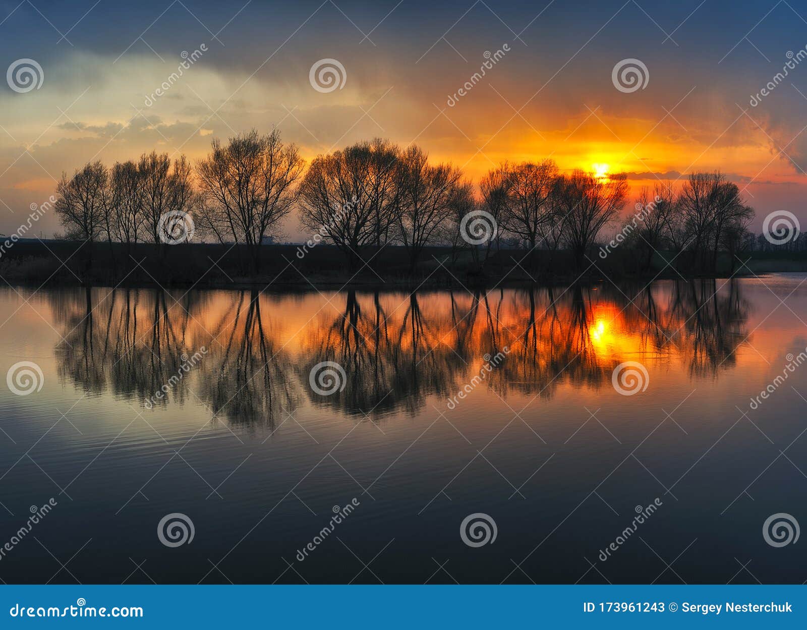 Reflection of Trees in the River Stock Image - Image of forenoon ...