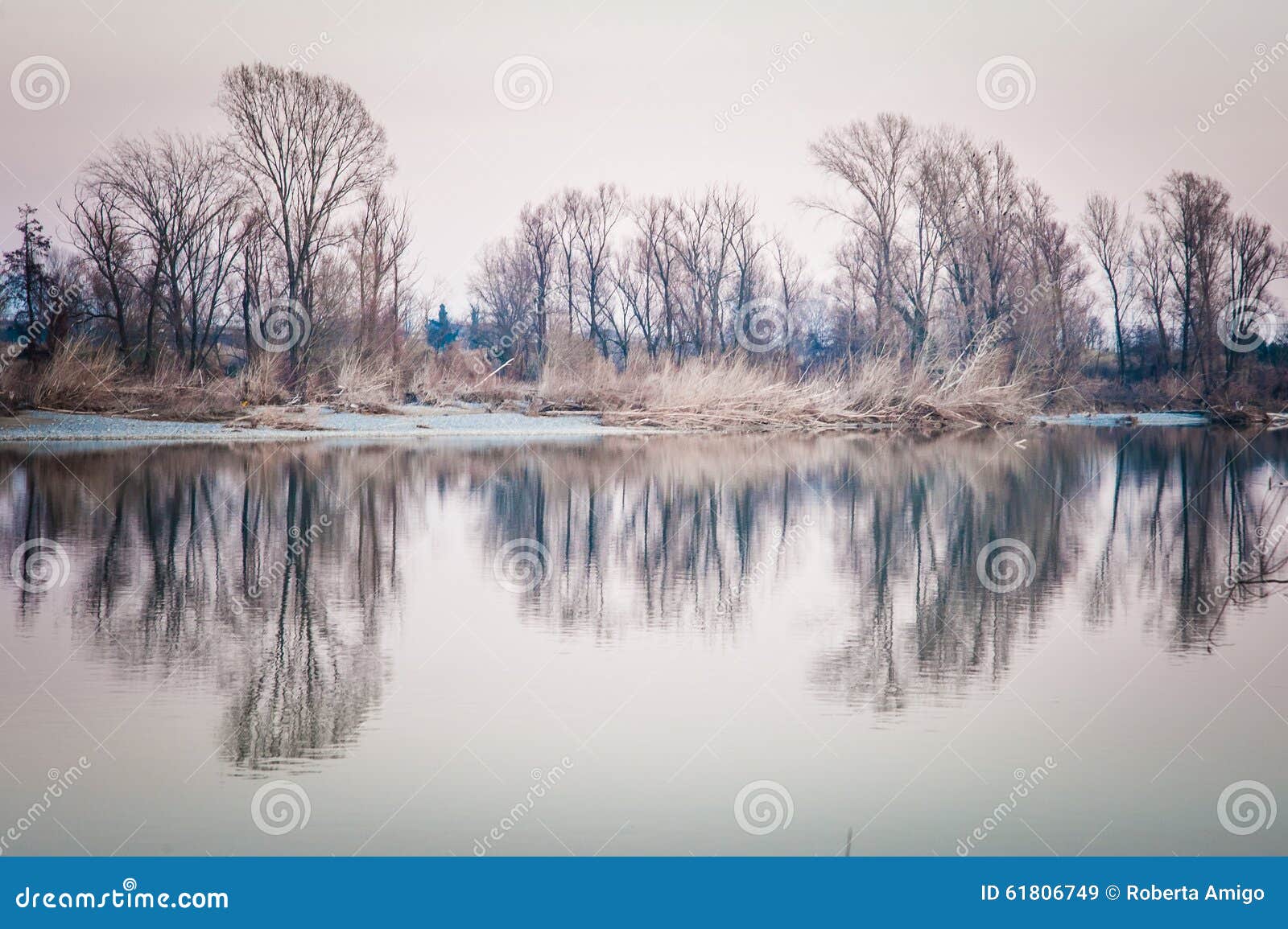 Reflection of the Trees in the River Stock Image - Image of black ...
