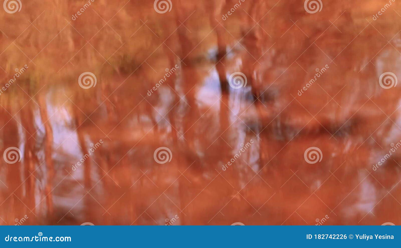 Reflection of Trees in the River Water. Background. Video Stock Footage ...