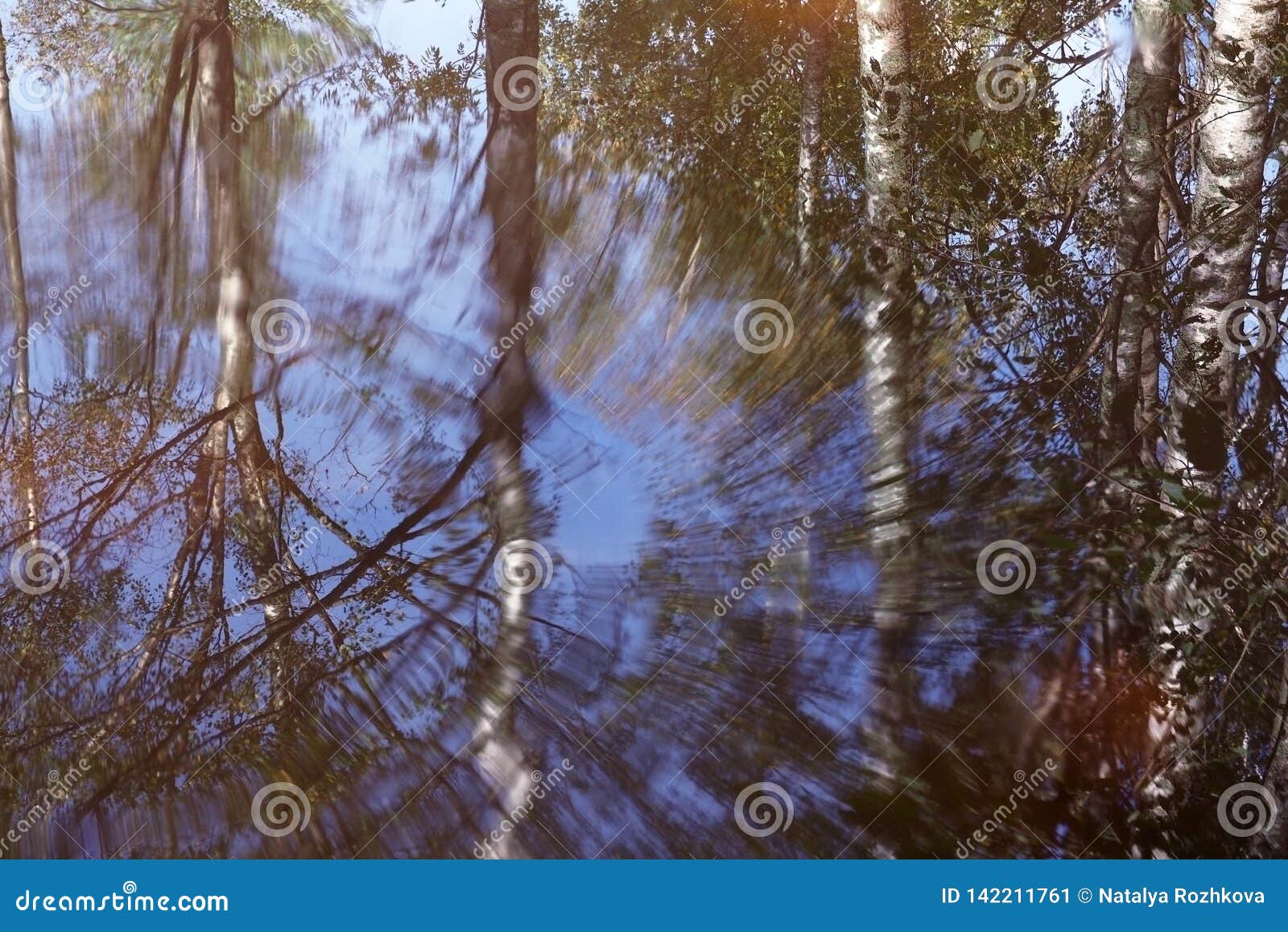 Reflection of Trees and Sky in the Water Stock Image - Image of pond ...