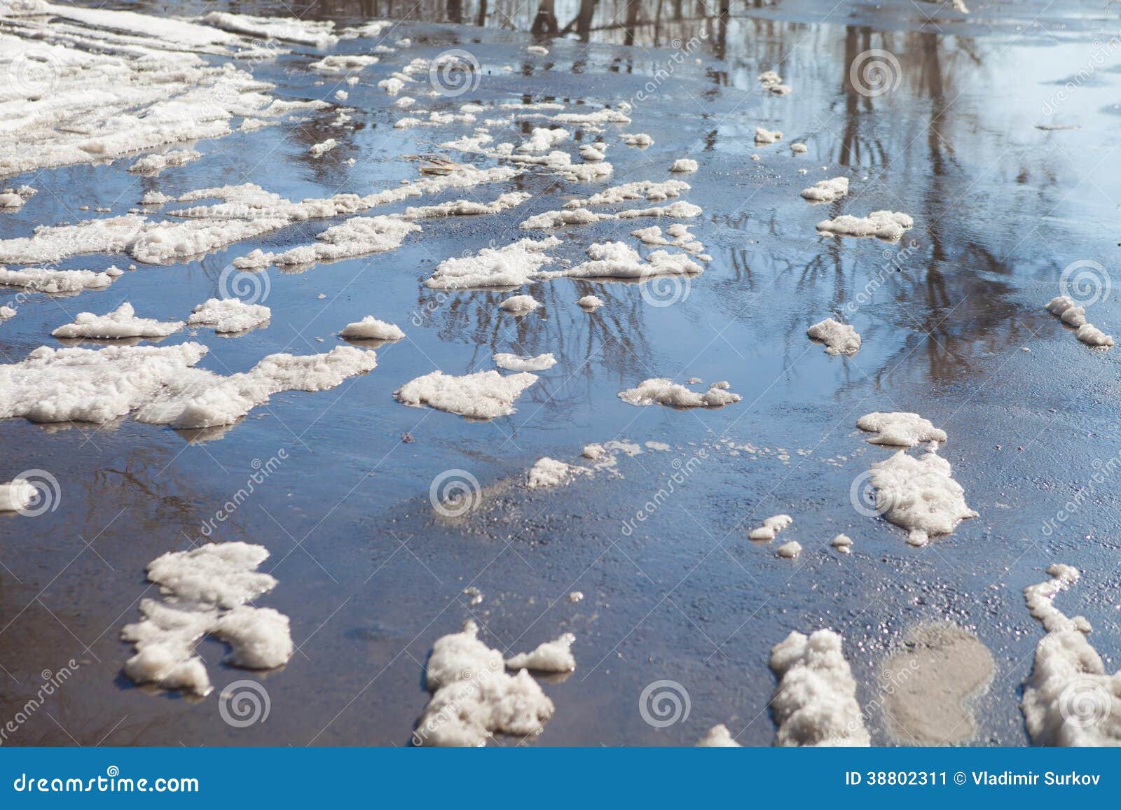 Reflection of Trees in Spring Puddle Stock Image - Image of white ...