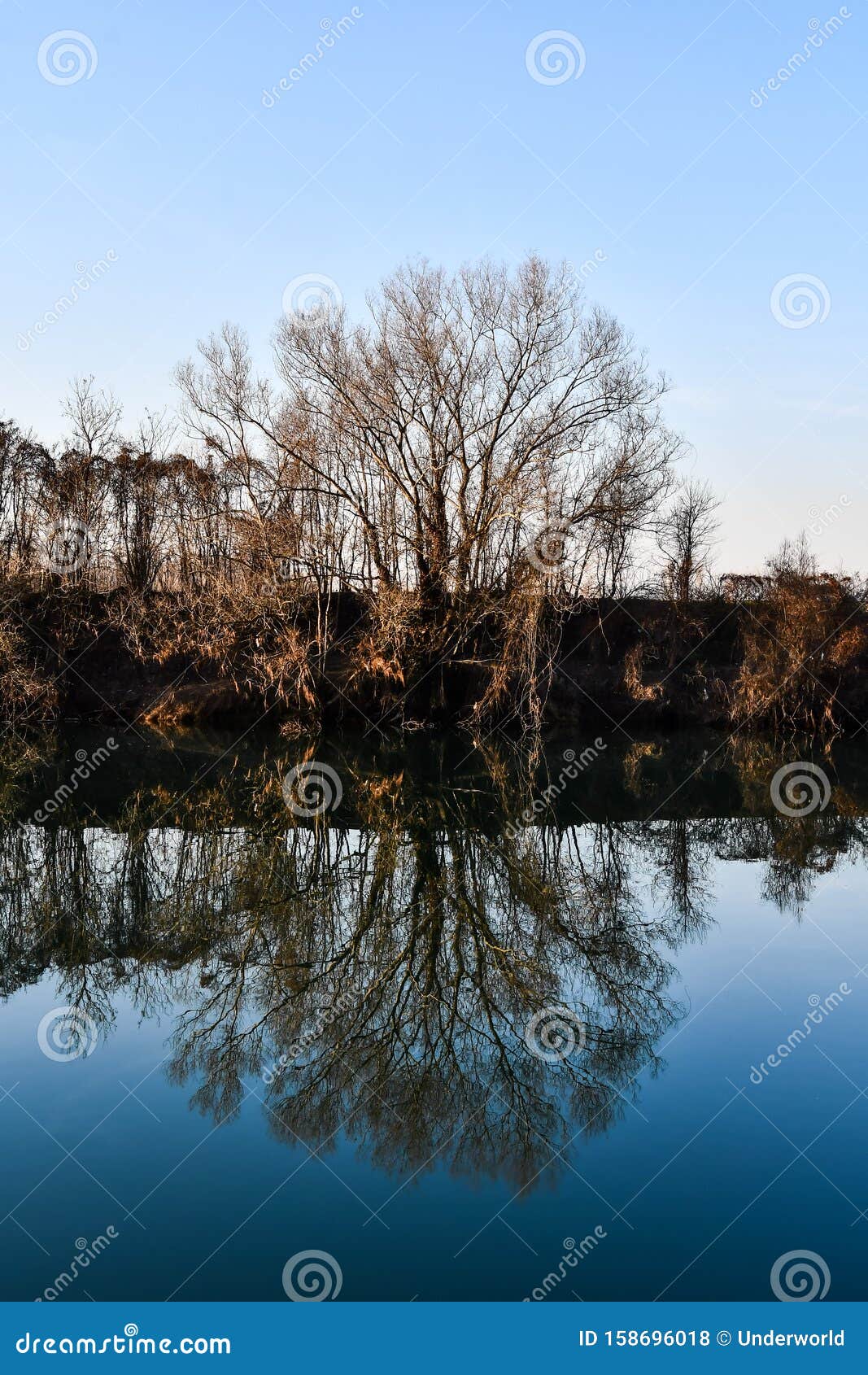 Reflection of Trees in the Water, Photo As a Background Stock Photo ...
