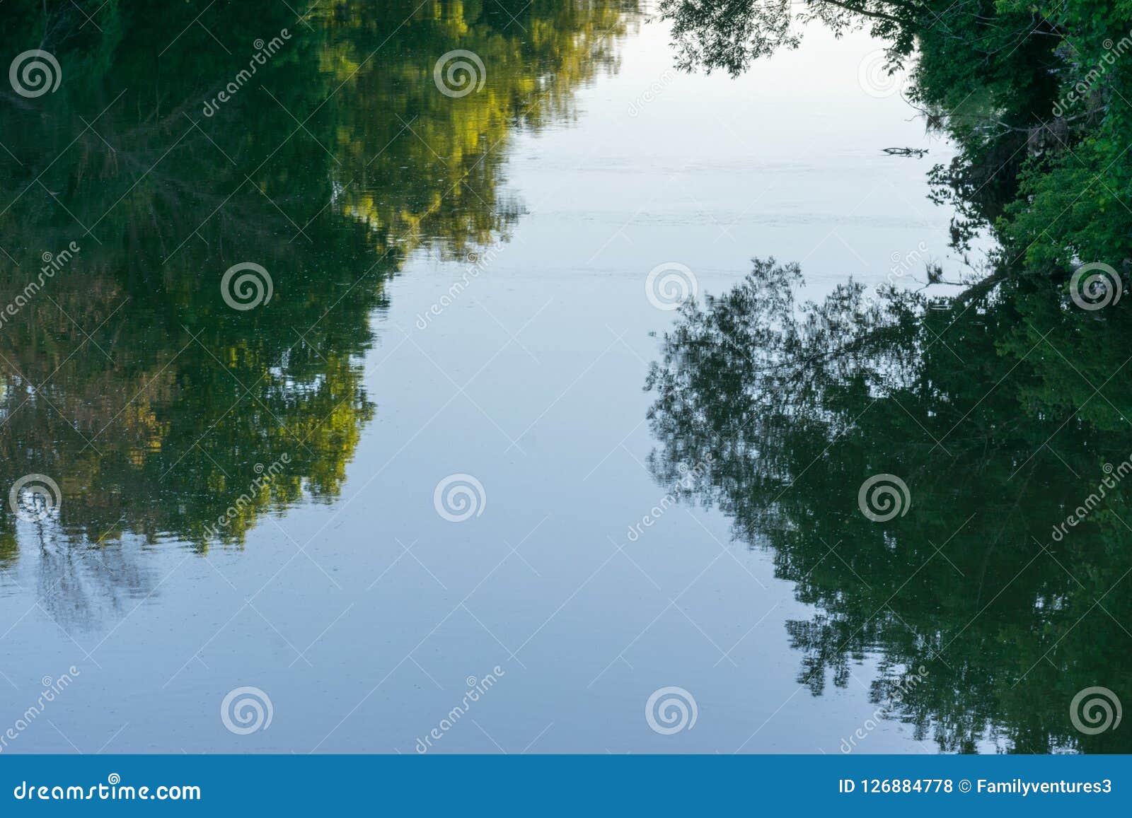 The Reflection of Trees in the Water Stock Photo - Image of park, green ...