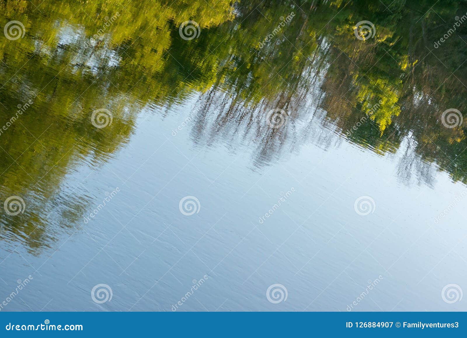 The Reflection of Trees in the Water Stock Image - Image of peaceful ...