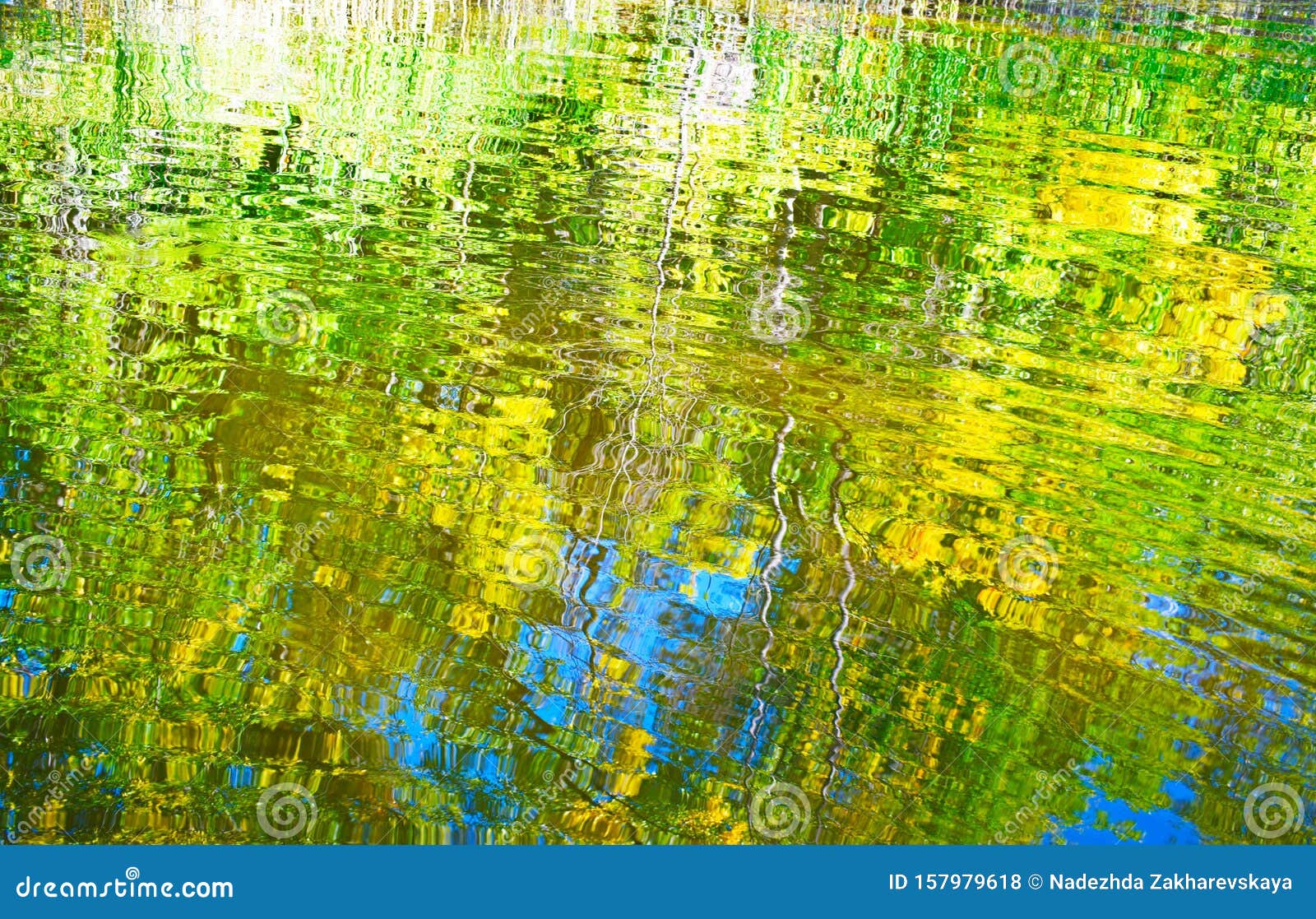Reflection of Trees in the Water. Stock Photo - Image of foliage, light ...