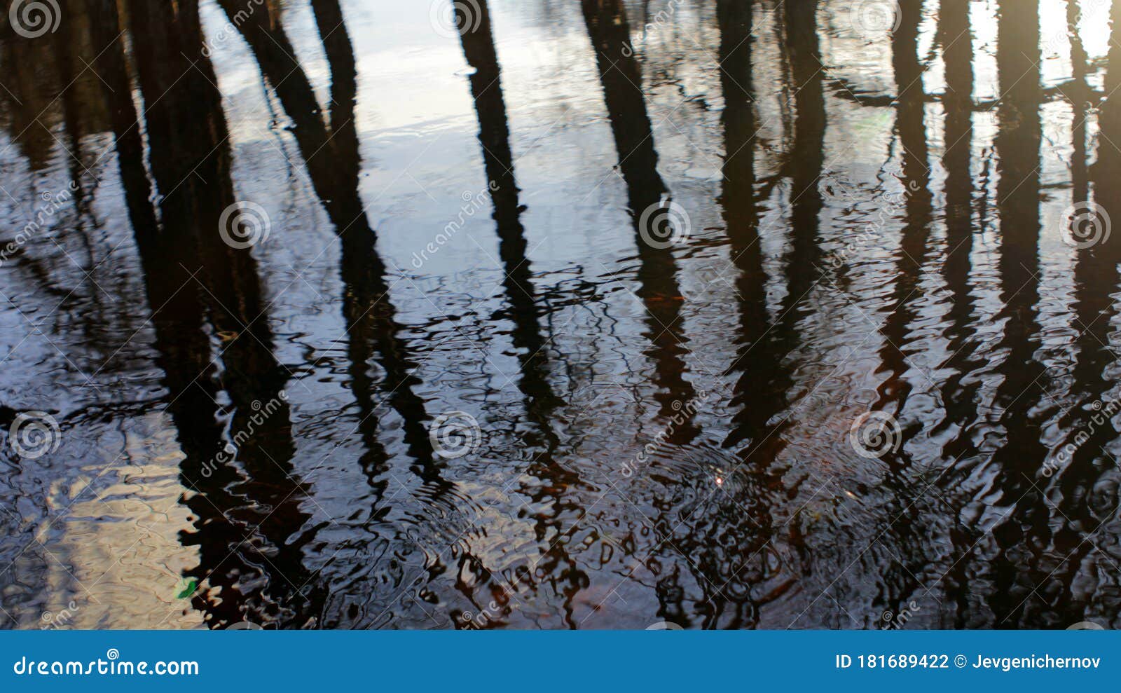 Reflection of Trees in the Water with Ripples Stock Photo - Image of ...