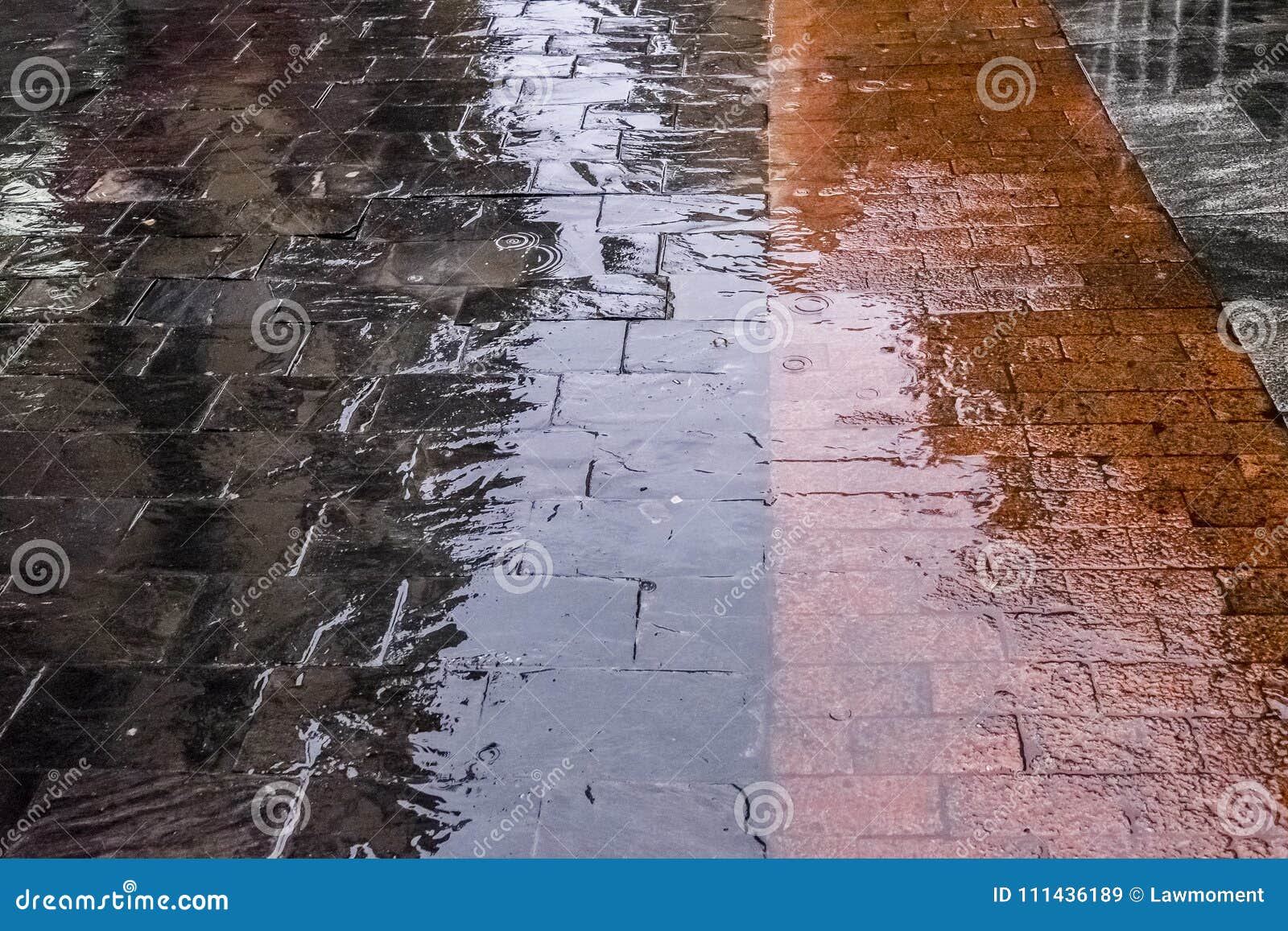 Reflections on a Wet Pavement in Madrid Stock Image - Image of blurred ...
