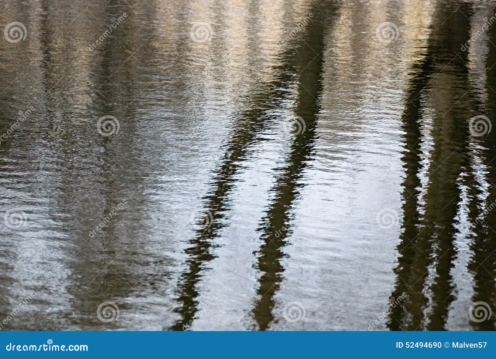Reflection of the Trunks Trees in Water Ripples Stock Photo - Image of ...