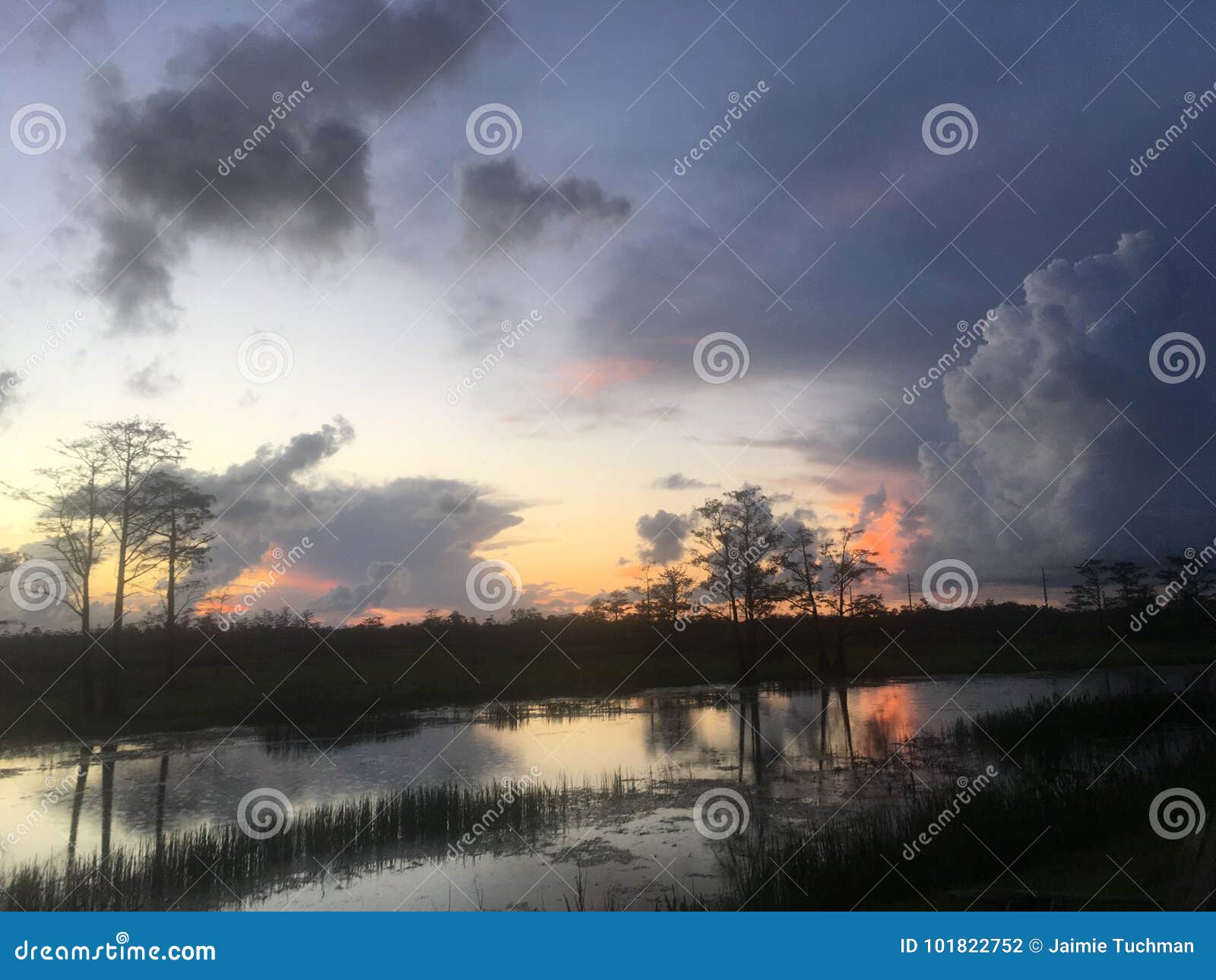 Reflection of Vibrant Sunset in a Swamp Stock Photo - Image of green ...