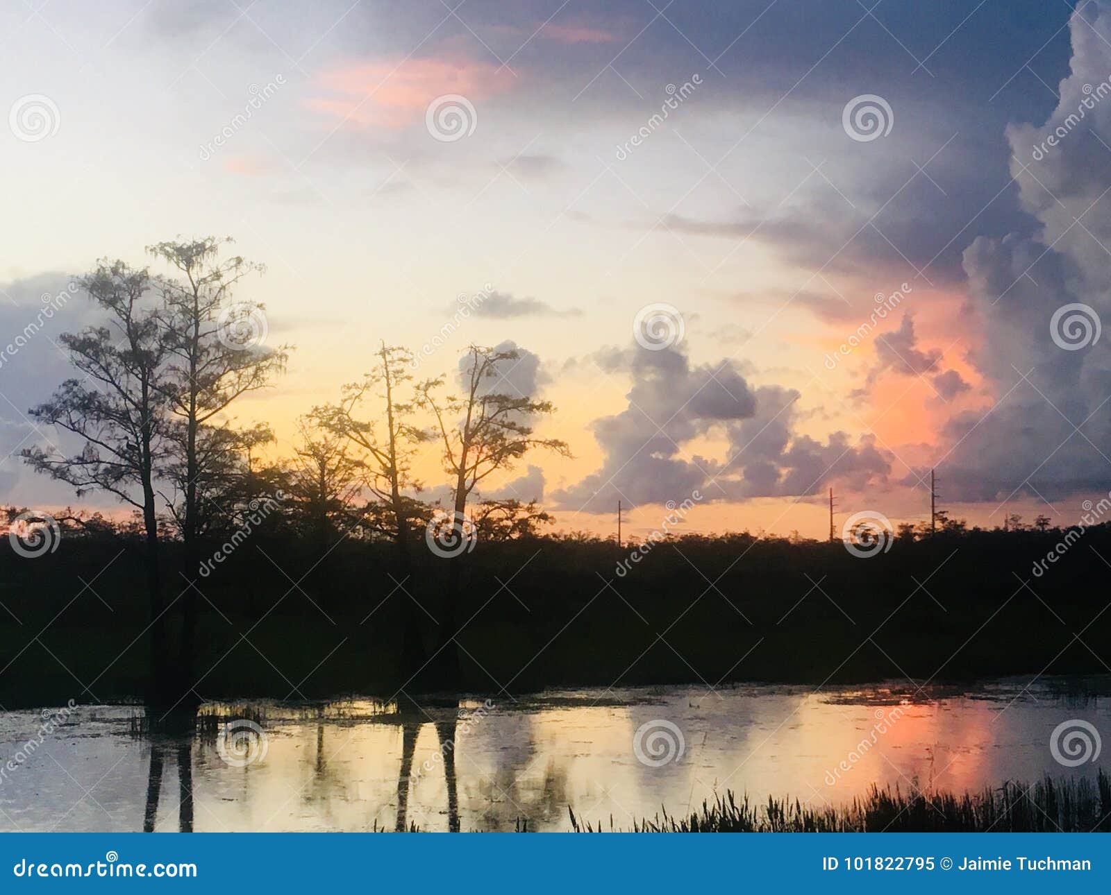 Reflection of Vibrant Sunset in a Swamp Stock Image - Image of coconut ...