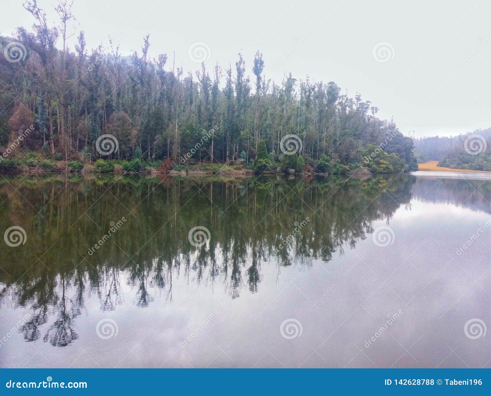 Reflection vs reality stock photo. Image of reflection - 142628788