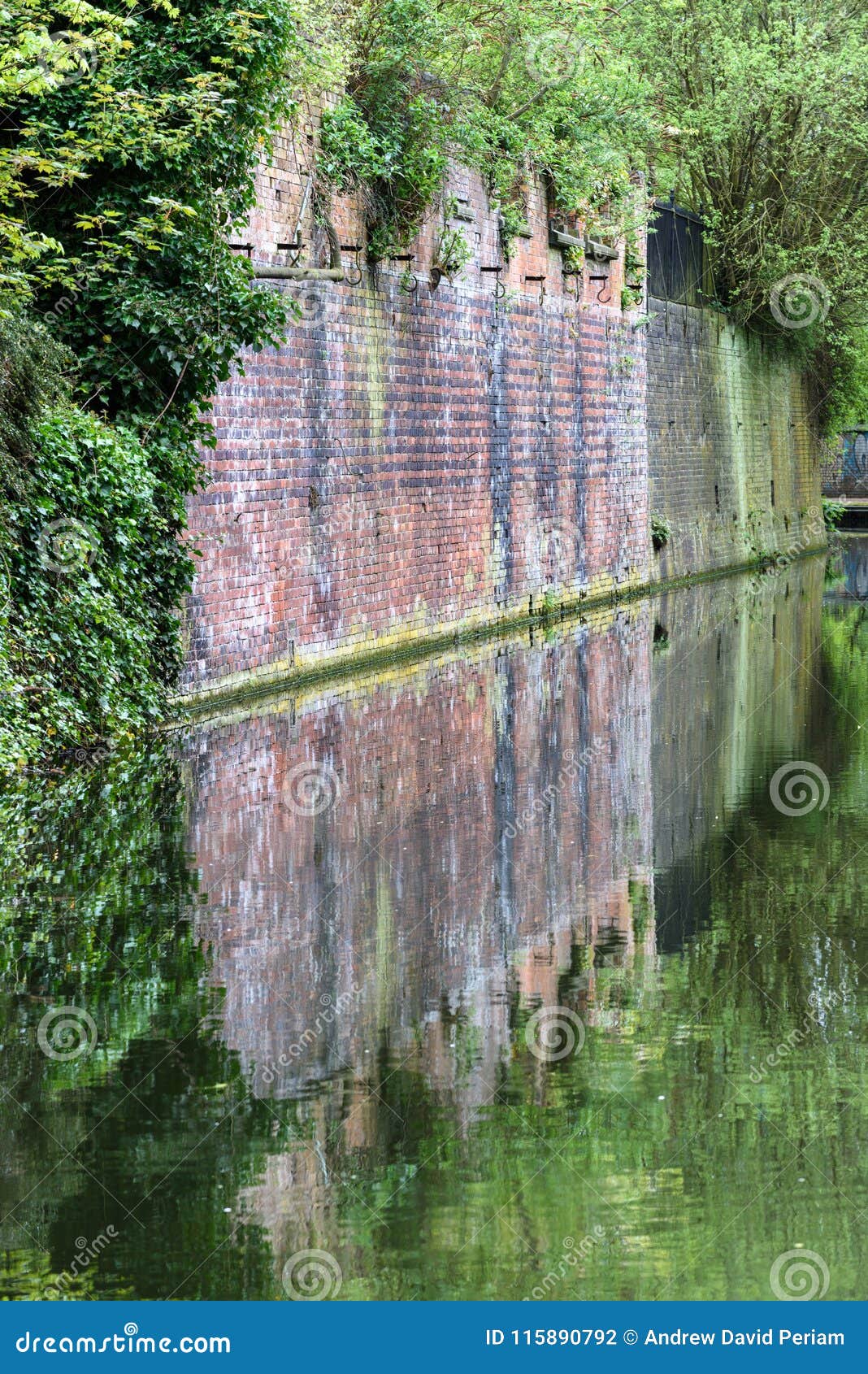 Canal wall reflection stock photo. Image of plants, rustic - 115890792