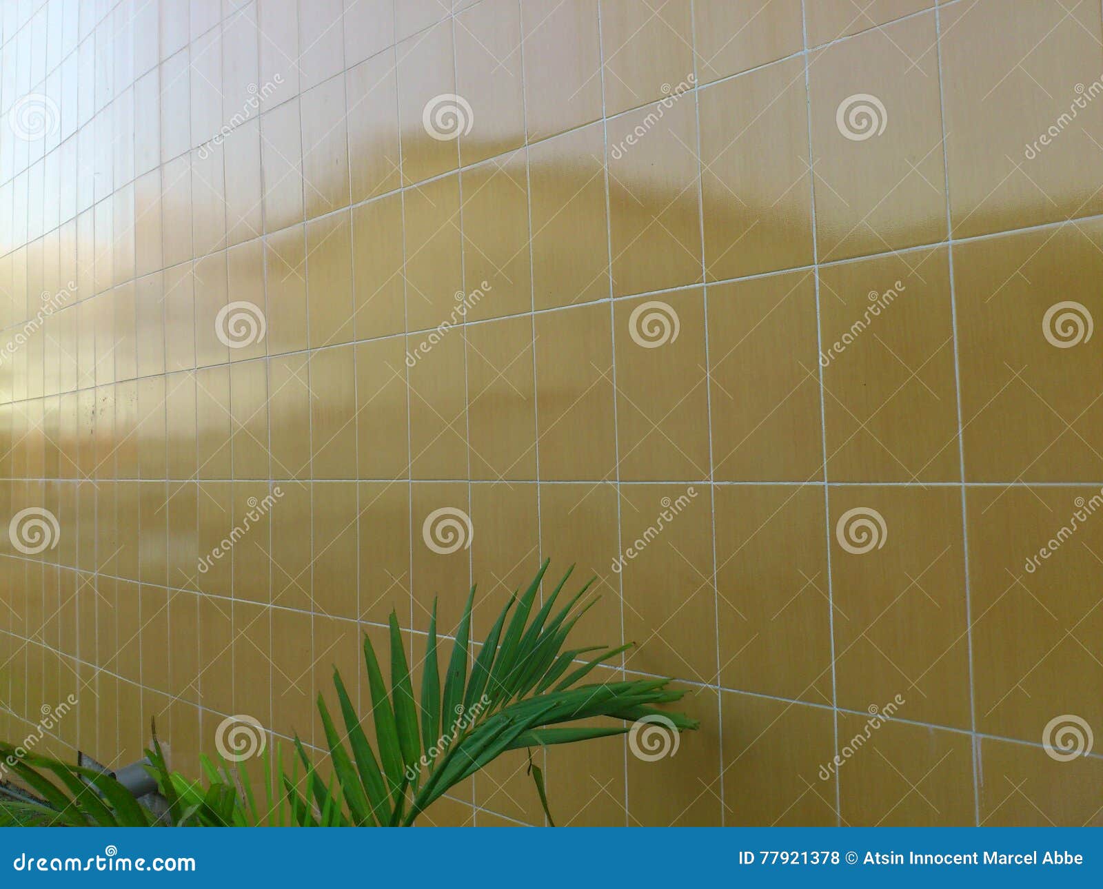 The REFLECTION of the WALL stock photo. Image of flooring - 77921378
