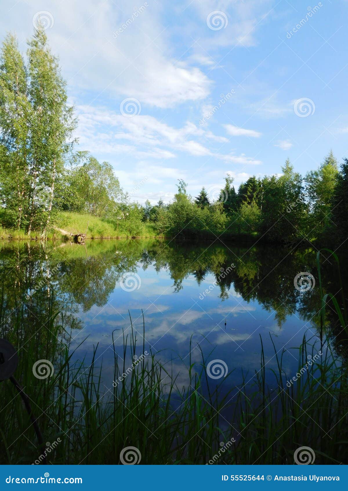 The Reflection in the Water. Stock Photo - Image of lake, blue: 55525644