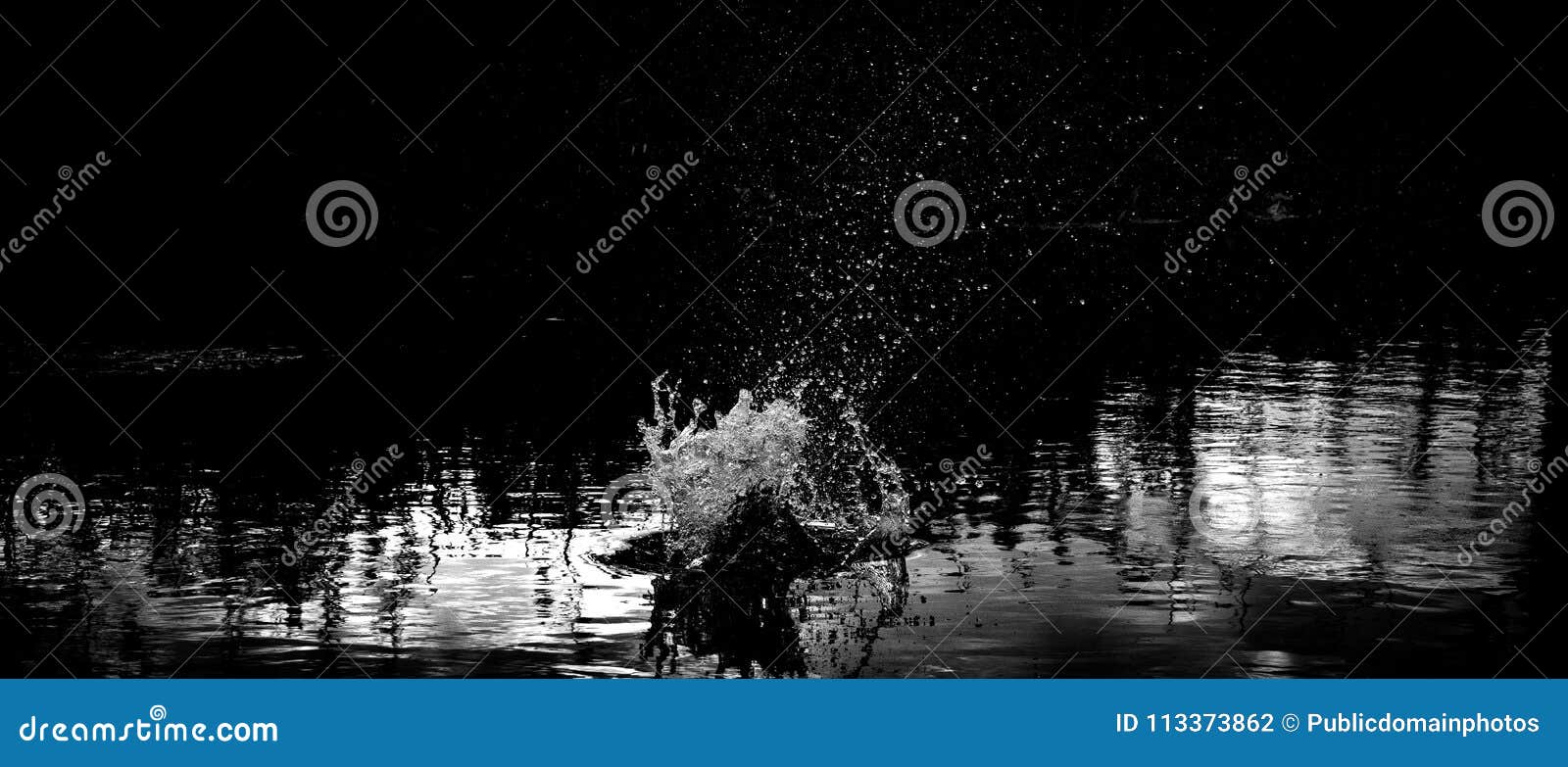 Reflection, Water, Nature, Black Picture. Image: 113373862